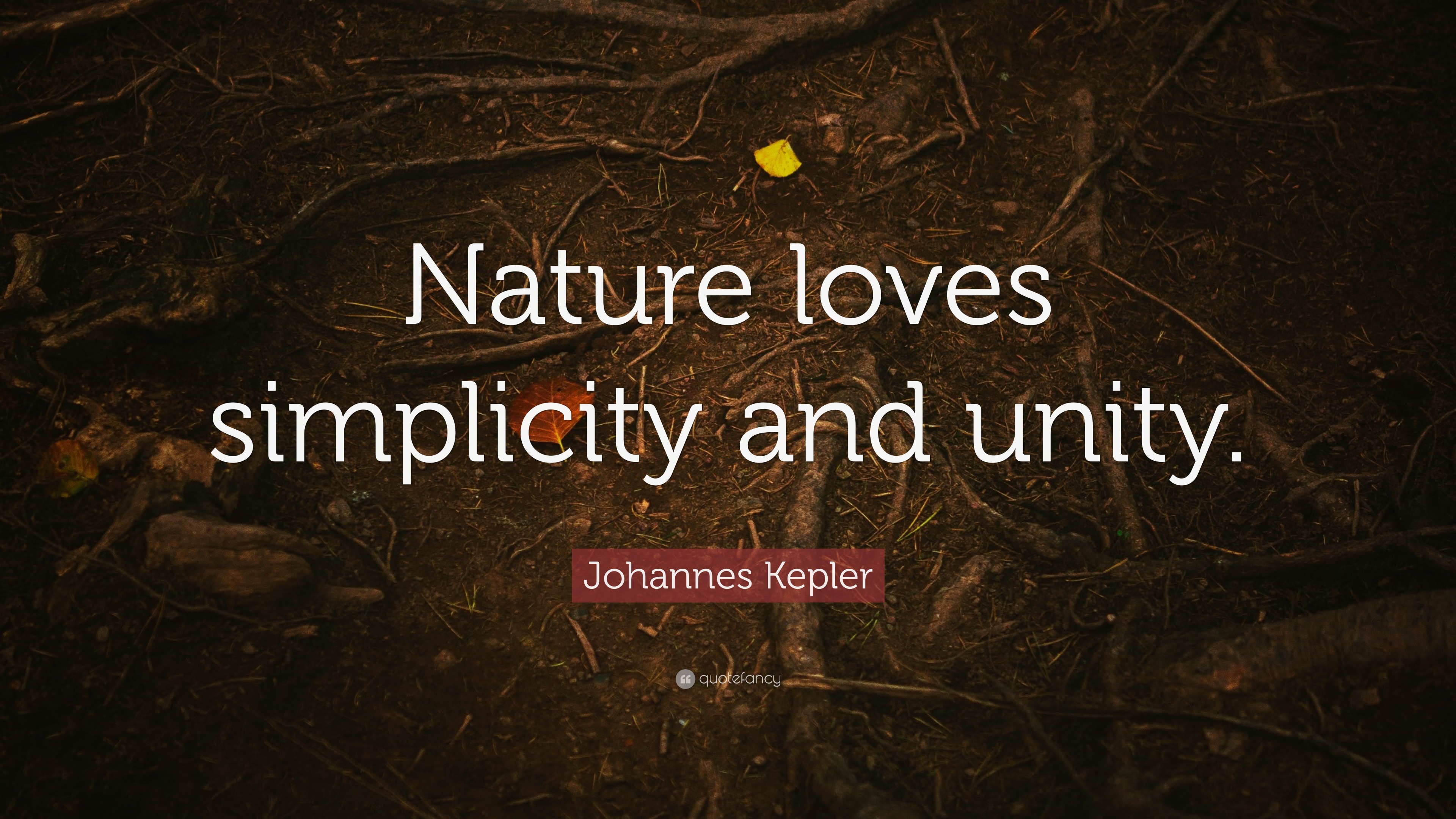 Johannes Kepler Quote: “Nature loves simplicity and unity.”