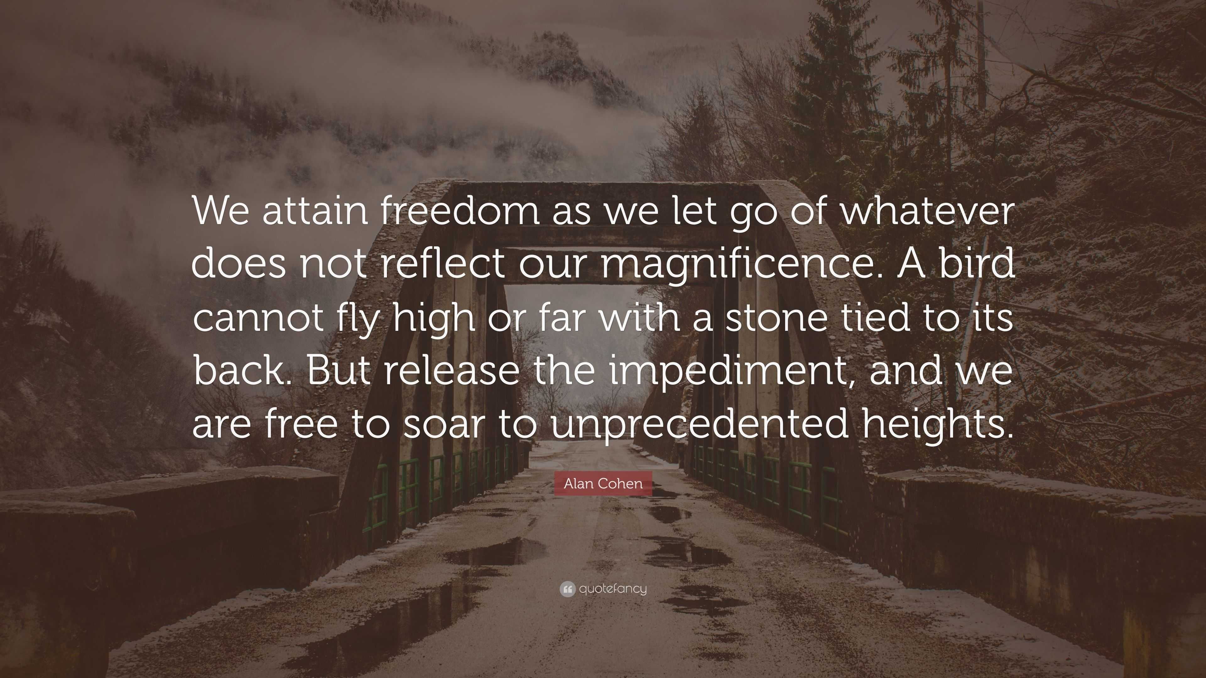 Alan Cohen Quote: “We attain freedom as we let go of whatever does not ...