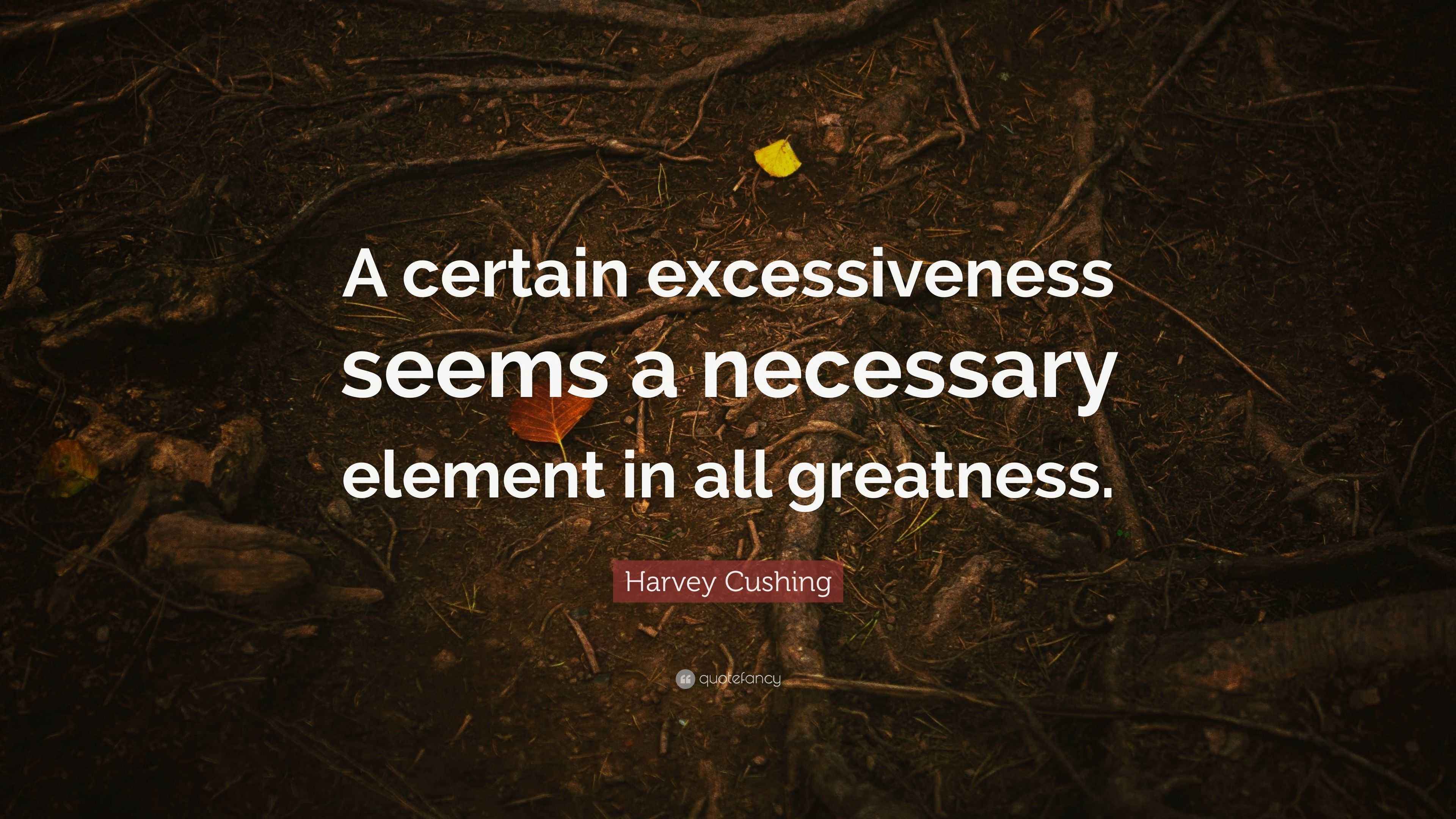 Harvey Cushing Quote: “A certain excessiveness seems a necessary ...