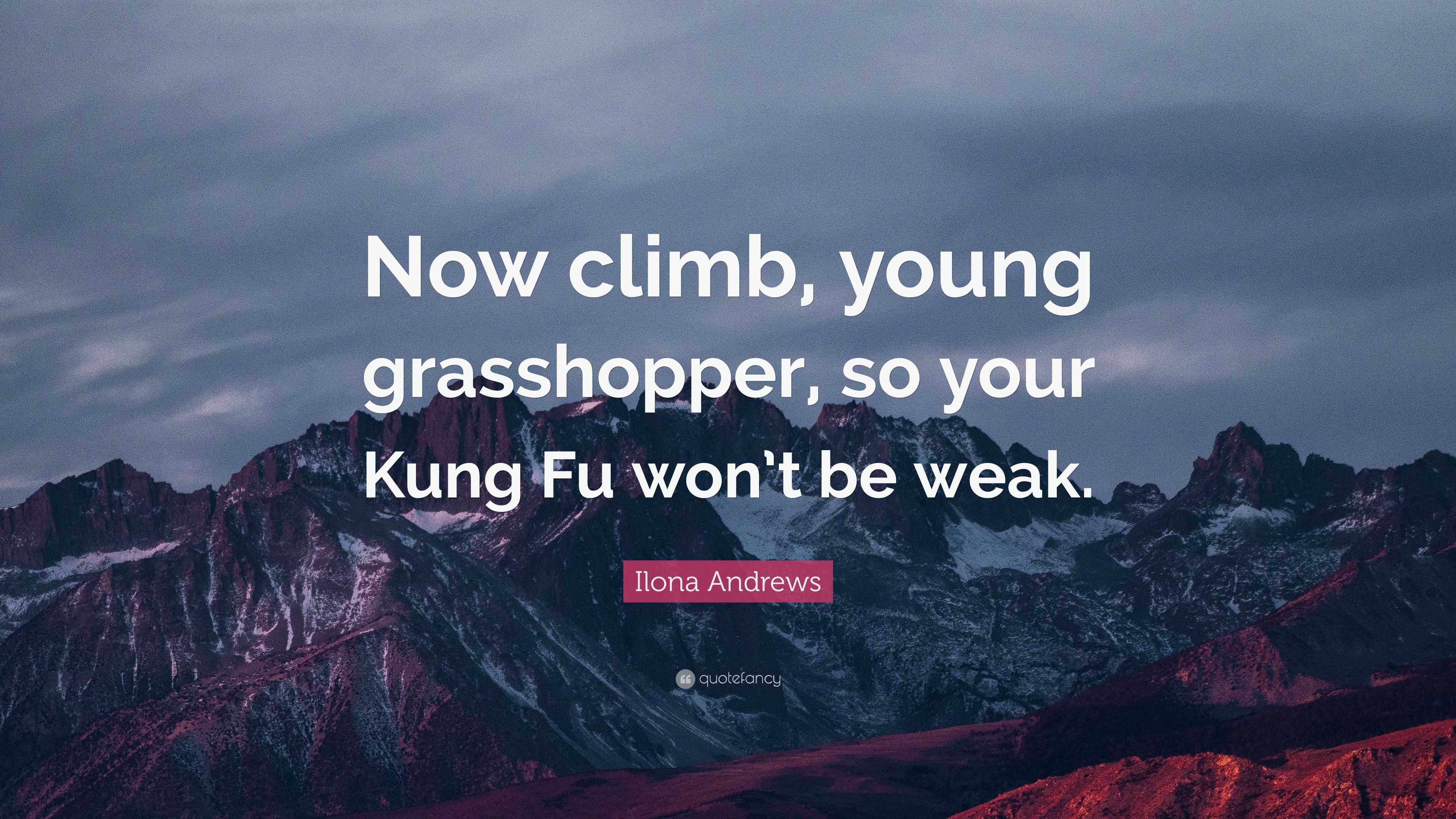 Ilona Andrews Quote: “Now climb, young grasshopper, so your Kung Fu won ...