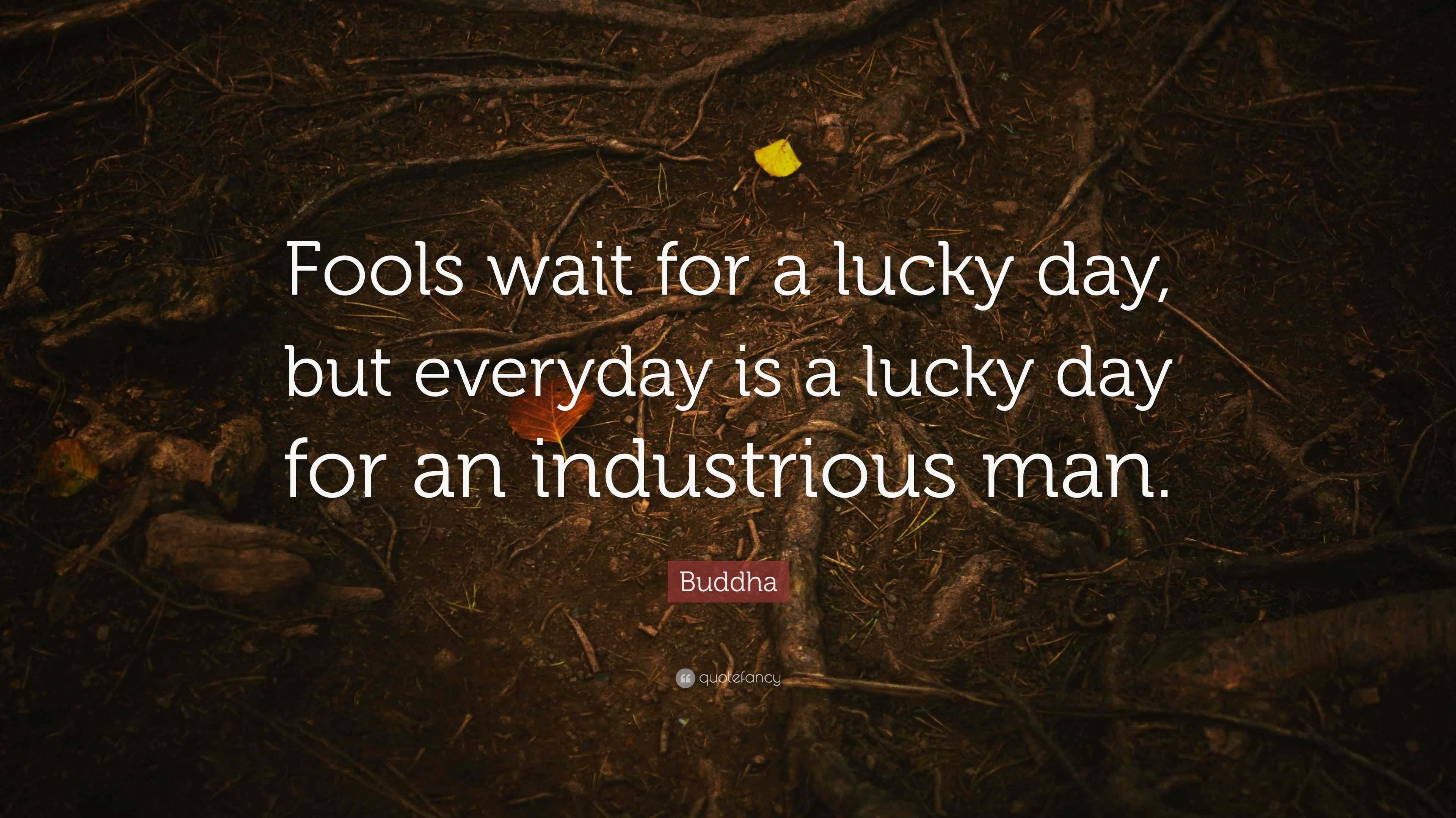Buddha Quote: “Fools wait for a lucky day, but everyday is a lucky day ...