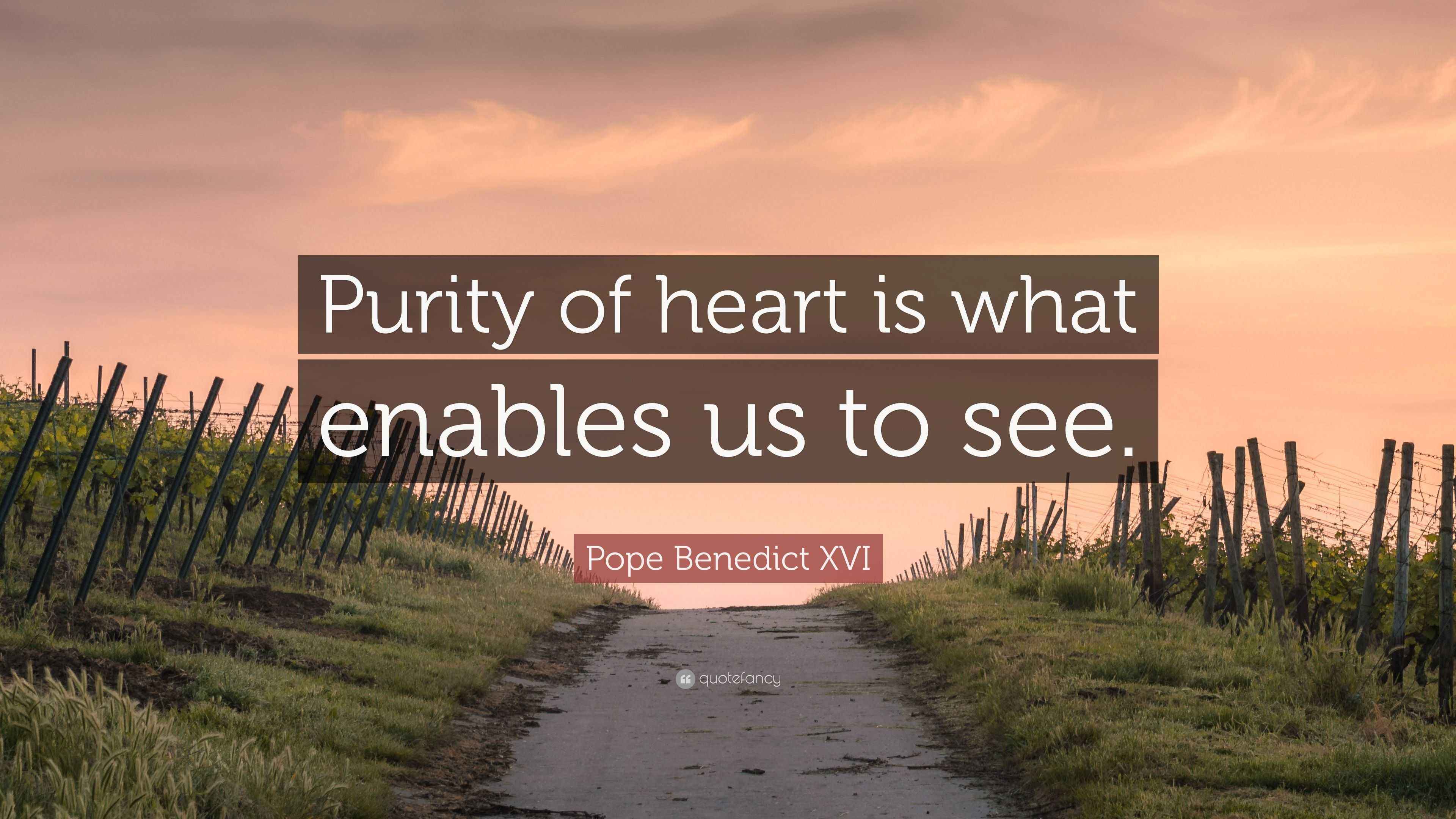 Pope Benedict XVI Quote: “Purity of heart is what enables us to see.”