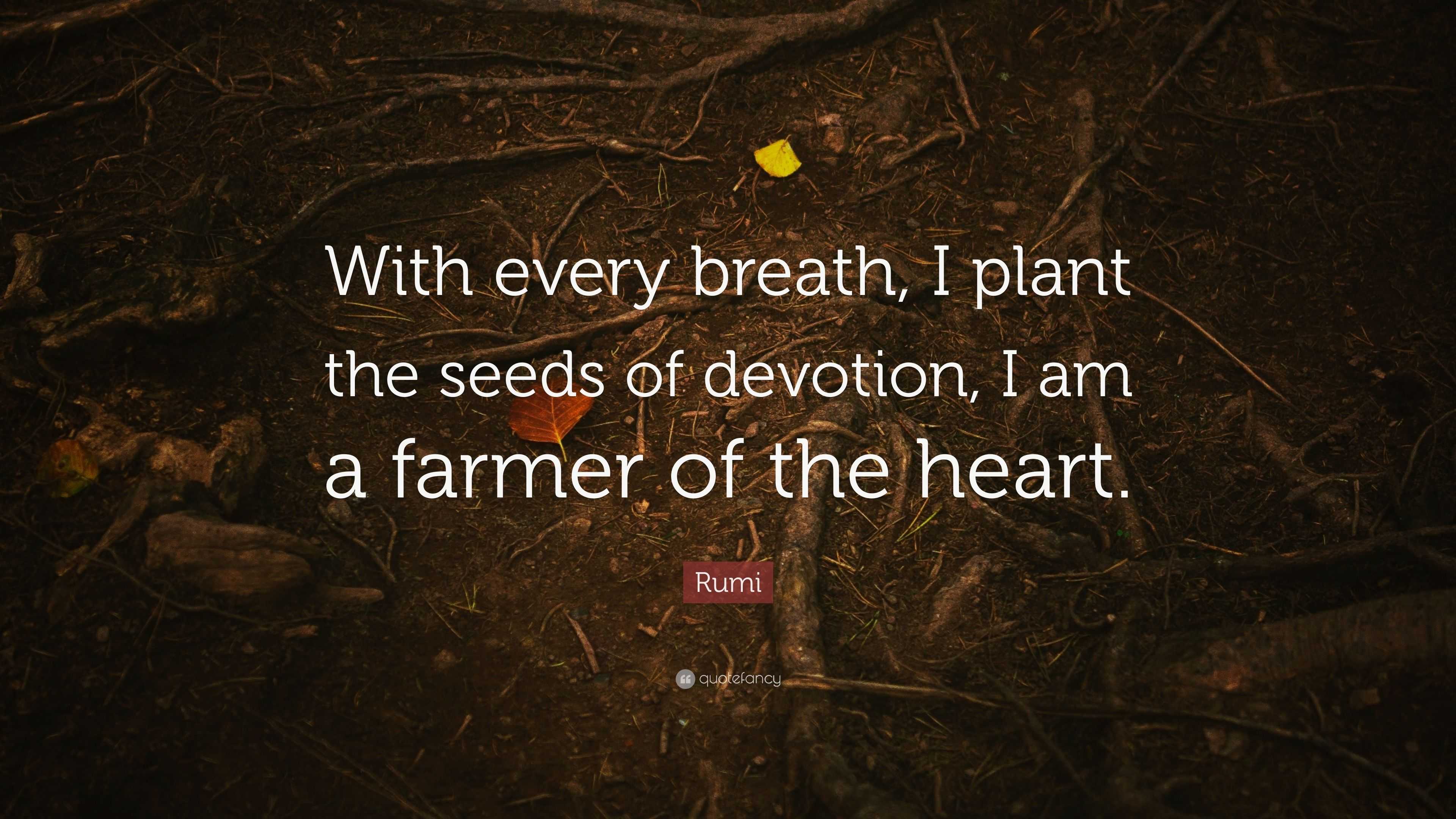 Rumi Quote: “With every breath, I plant the seeds of devotion, I am a ...