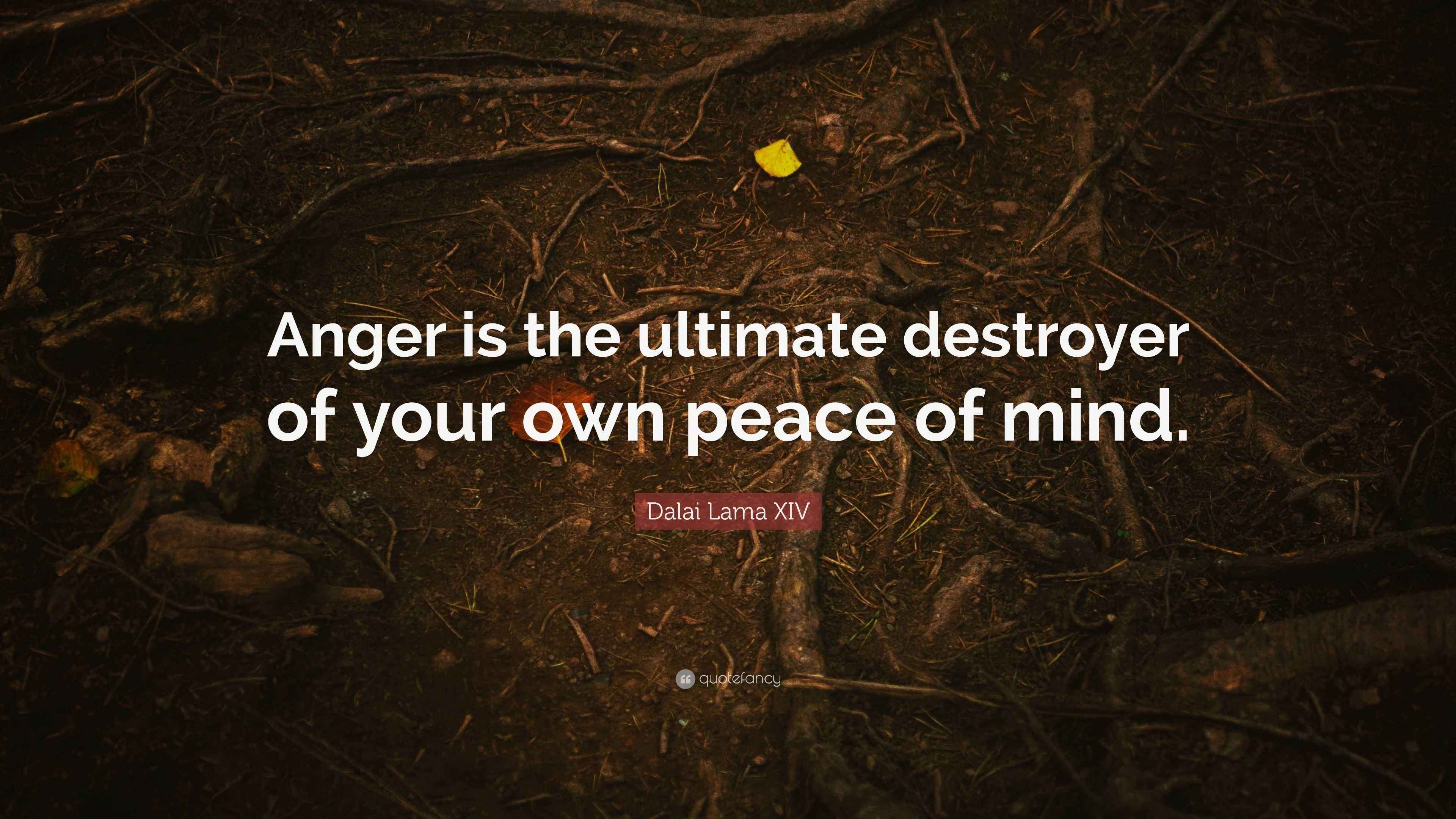 Dalai Lama XIV Quote: “Anger is the ultimate destroyer of your own ...