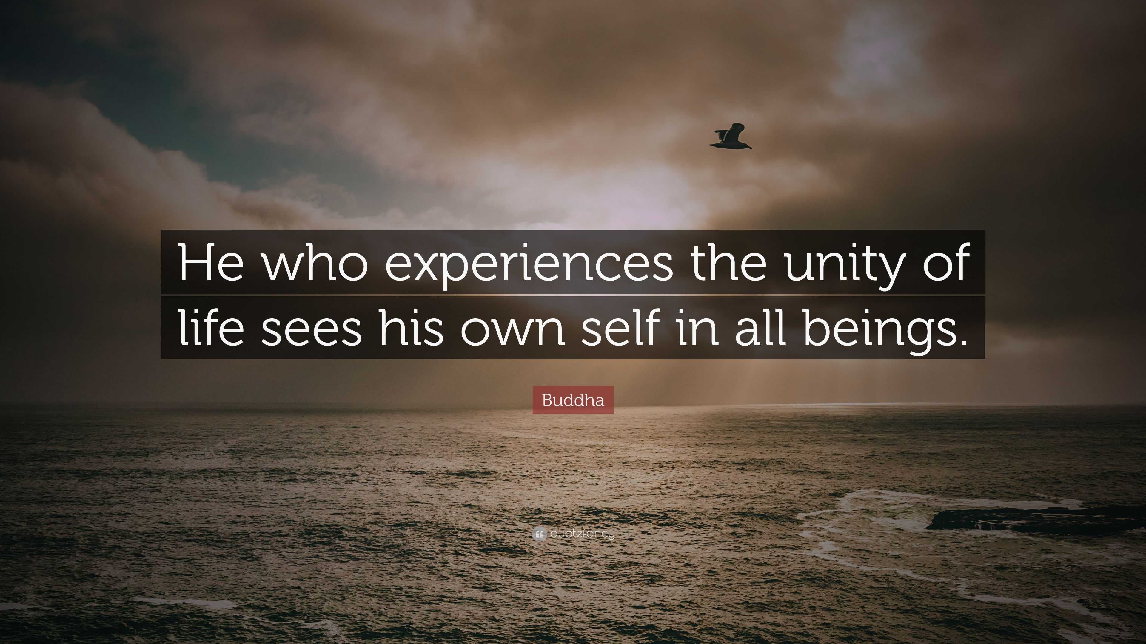 Buddha Quote: “He who experiences the unity of life sees his own self ...