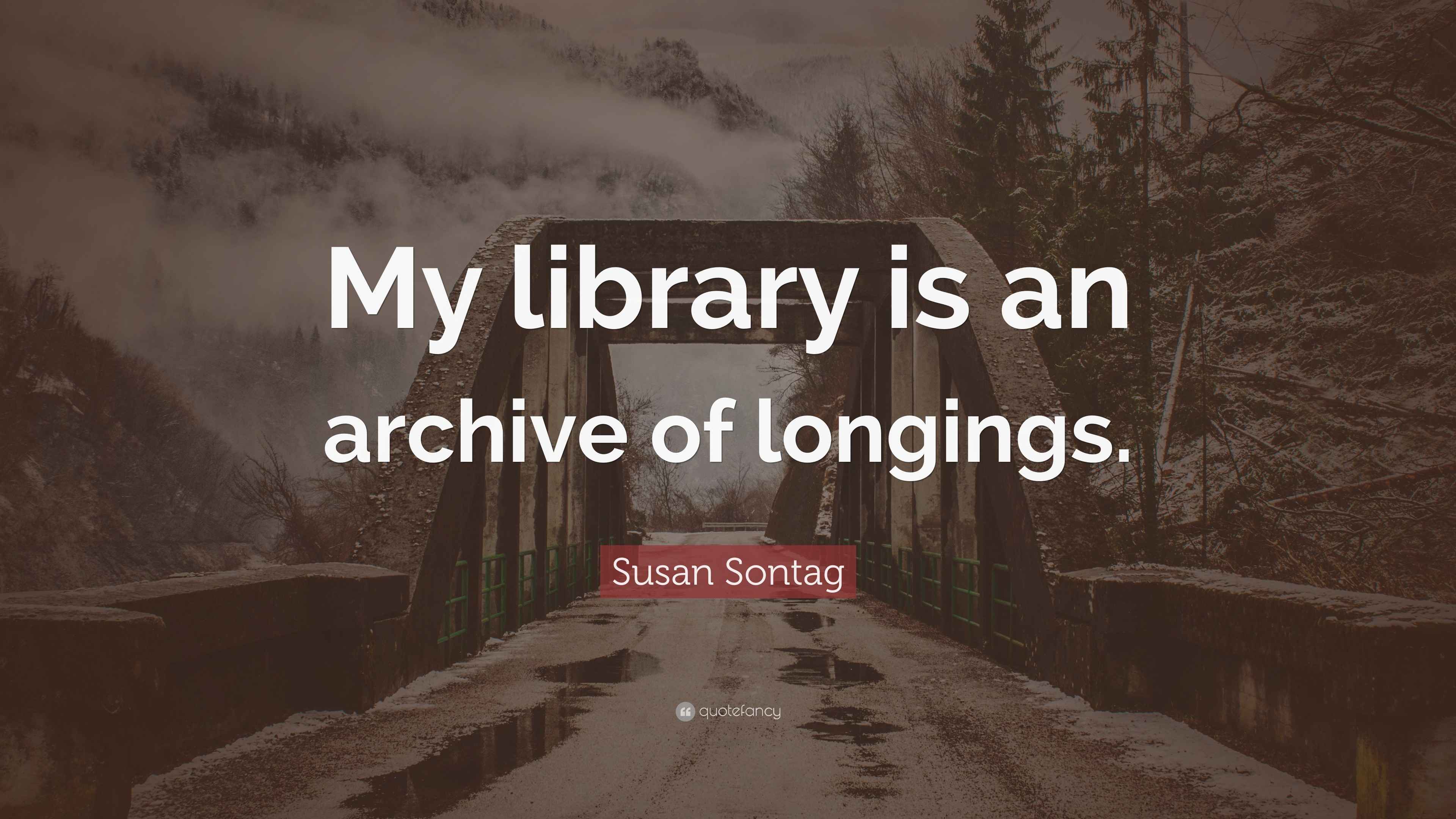 Susan Sontag Quote: “My library is an archive of longings.”