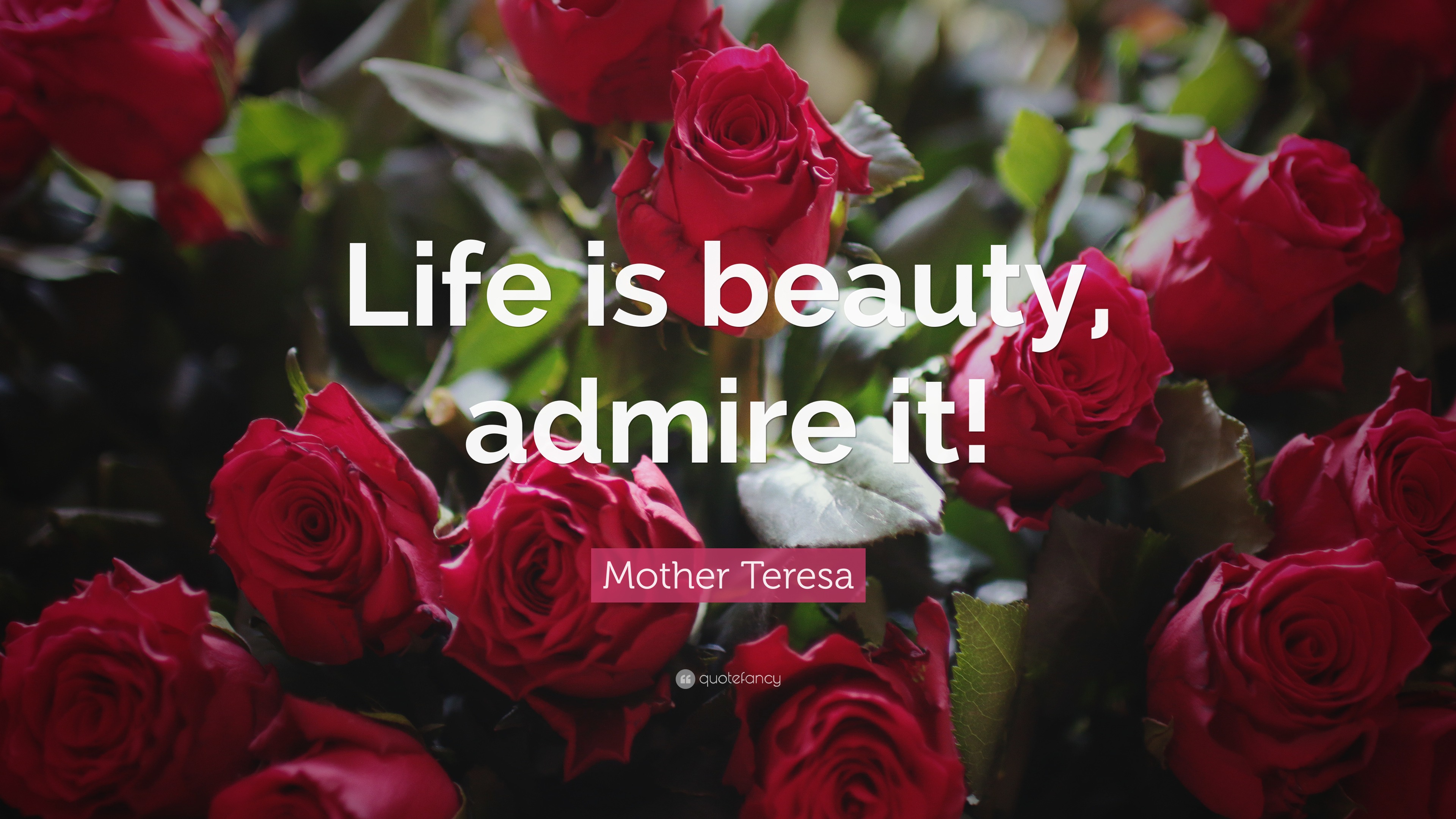Mother Teresa Quote: “Life is beauty, admire it!”