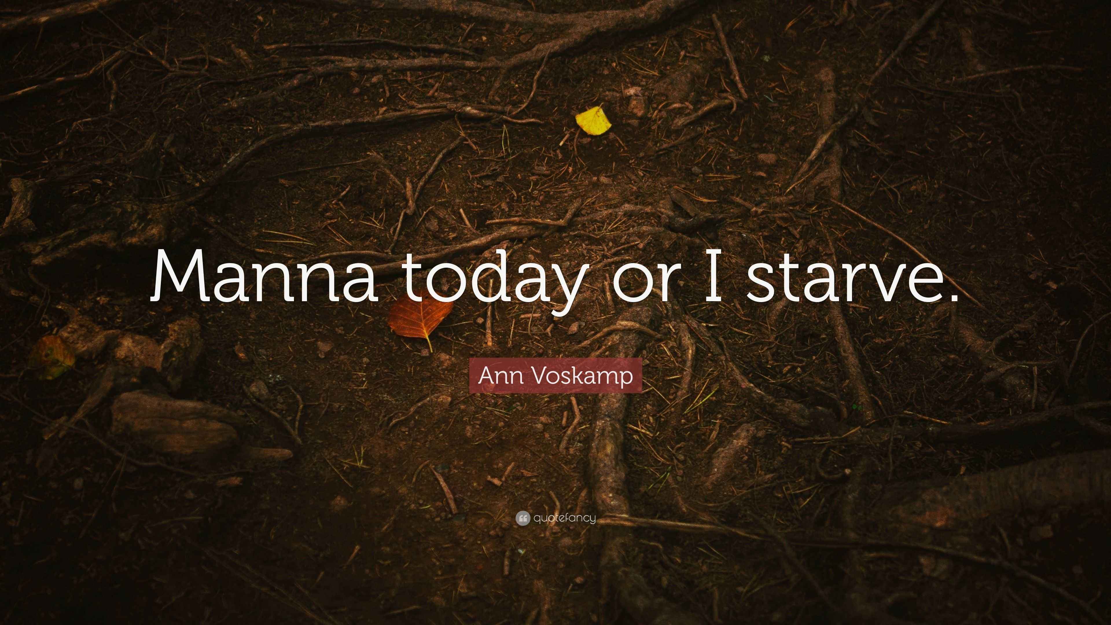 Ann Voskamp Quote: “Manna today or I starve.”