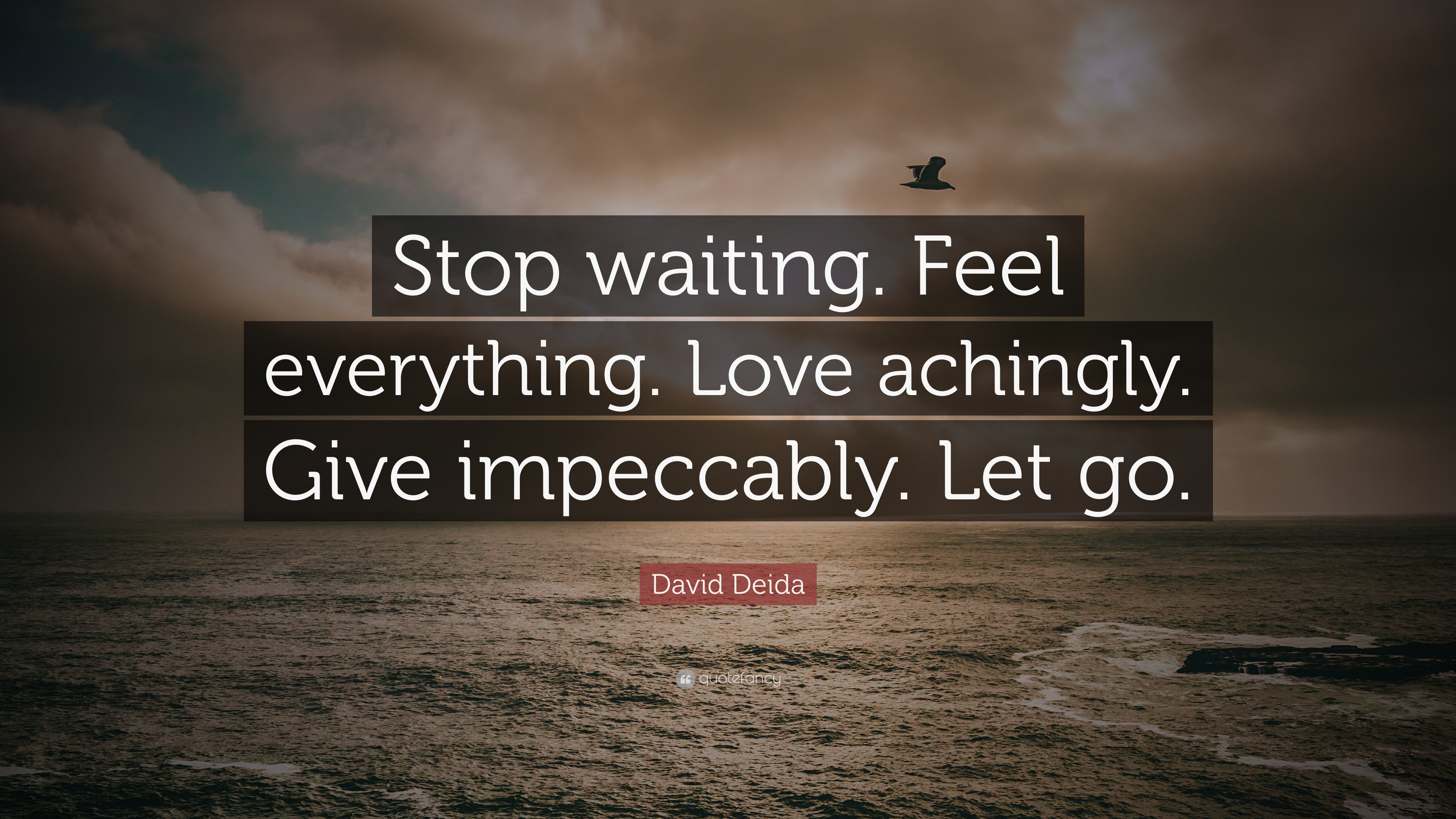 David Deida Quote: “Stop waiting. Feel everything. Love achingly. Give ...