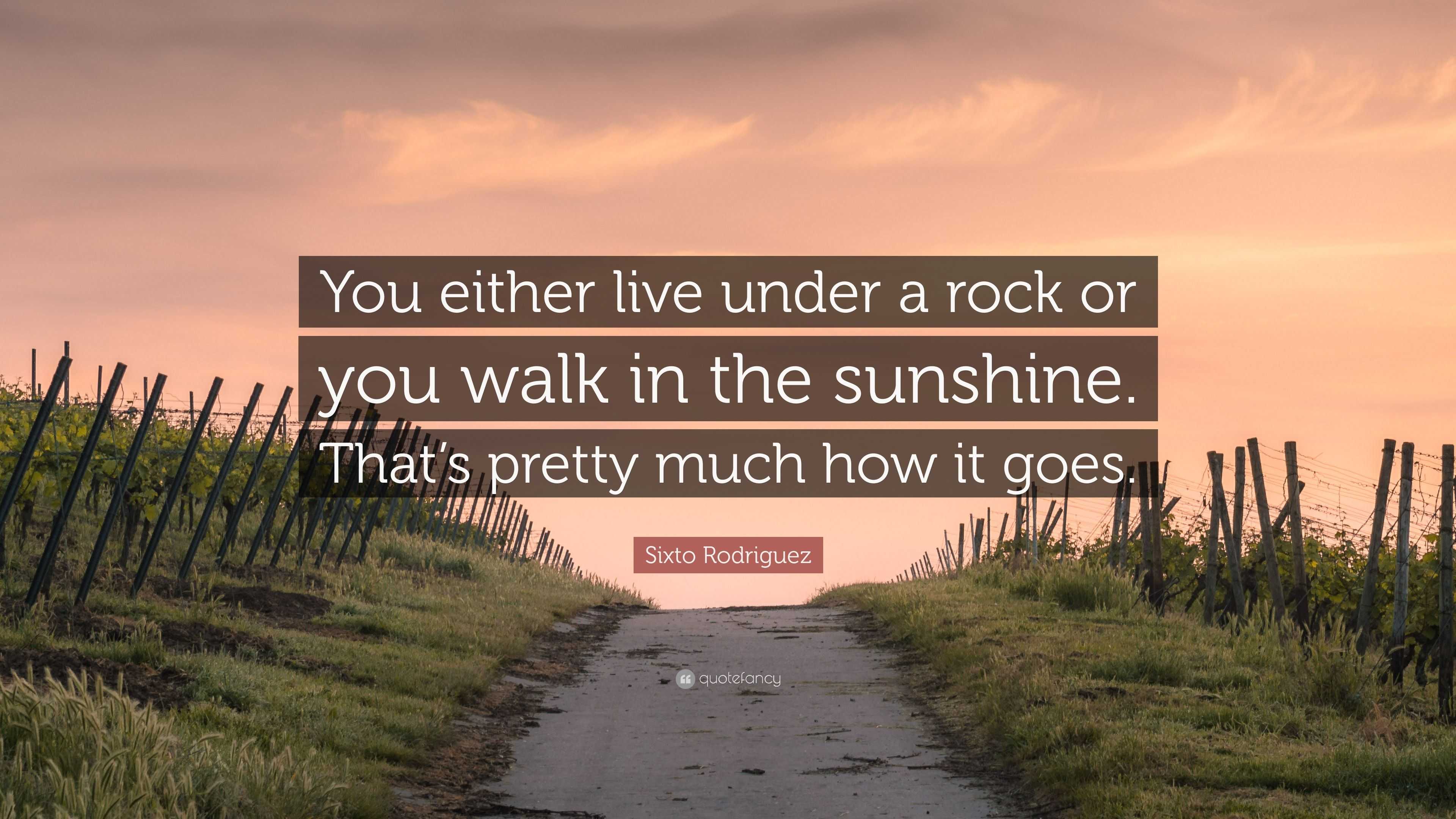Sixto Rodriguez Quote: “You either live under a rock or you walk in the ...