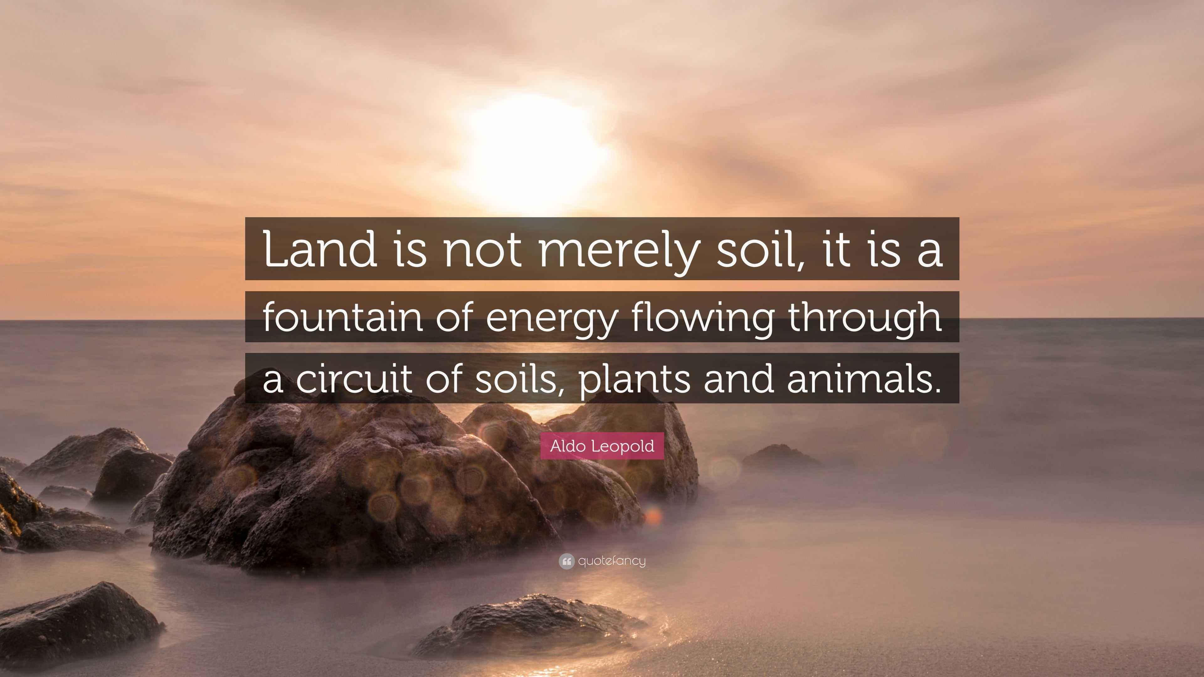 Aldo Leopold Quote: “Land is not merely soil, it is a fountain of ...