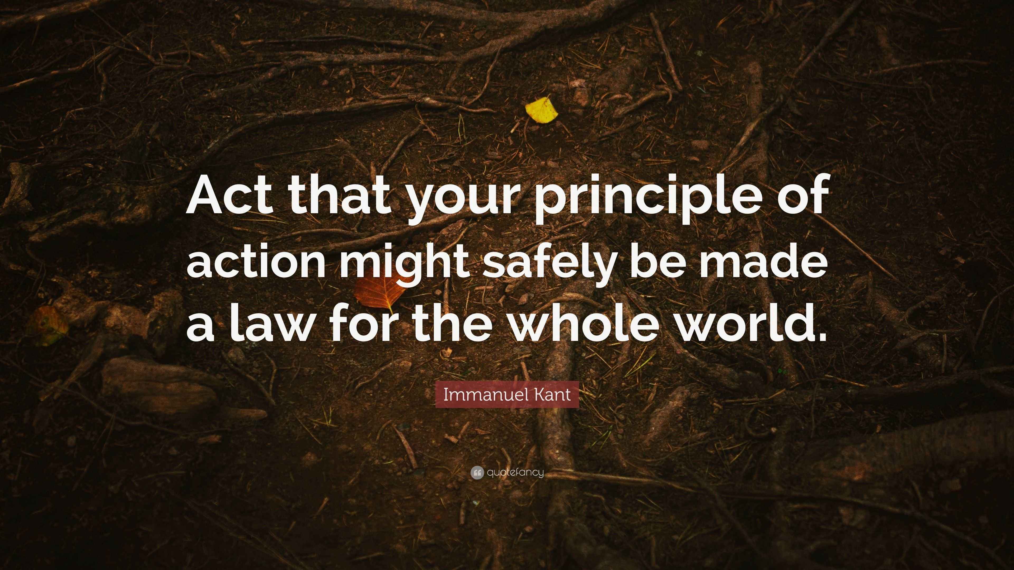 Immanuel Kant Quote: “Act that your principle of action might safely be ...