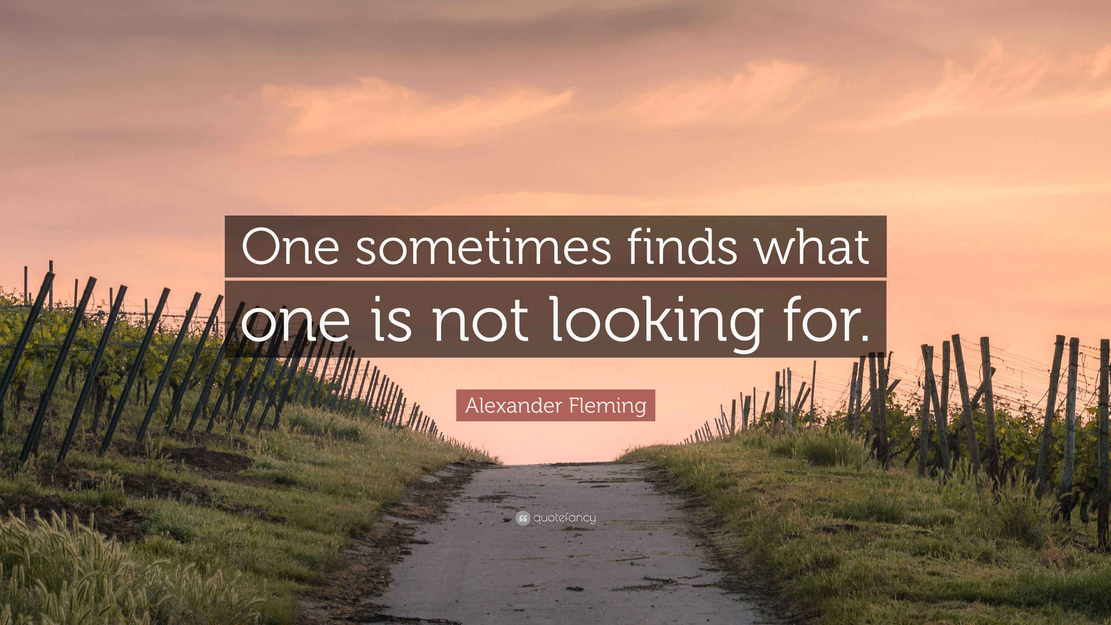 Alexander Fleming Quote: “One sometimes finds what one is not looking for.”