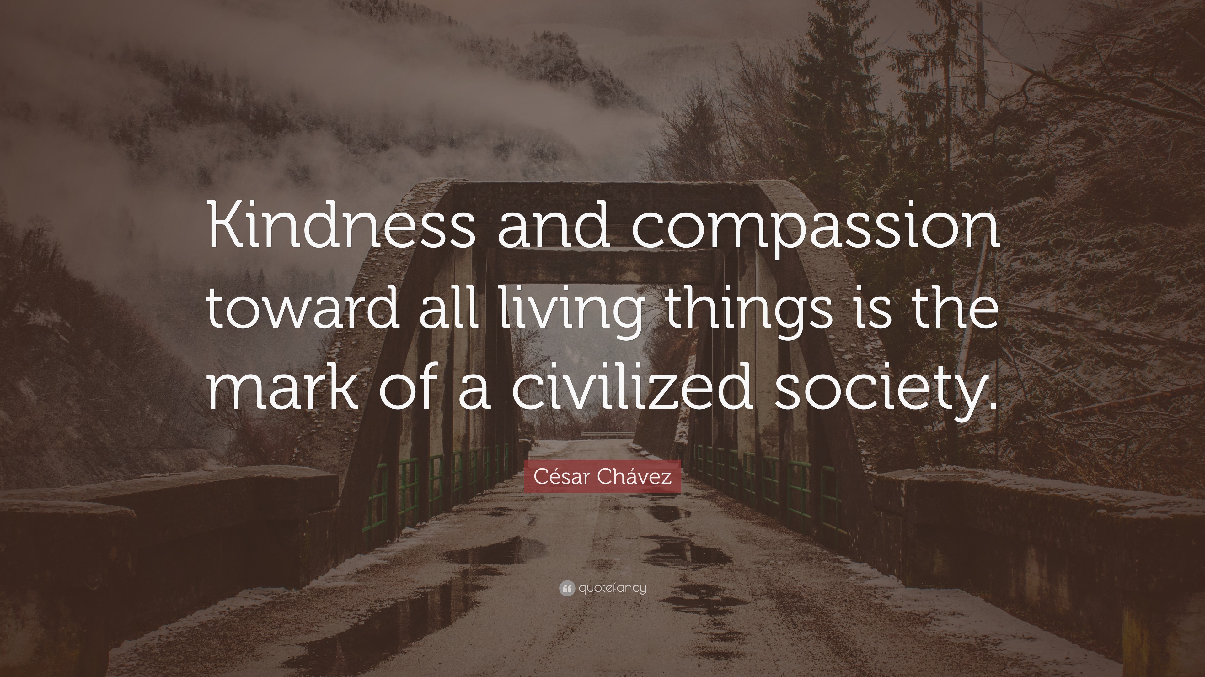 César Chávez Quote: “Kindness and compassion toward all living things ...