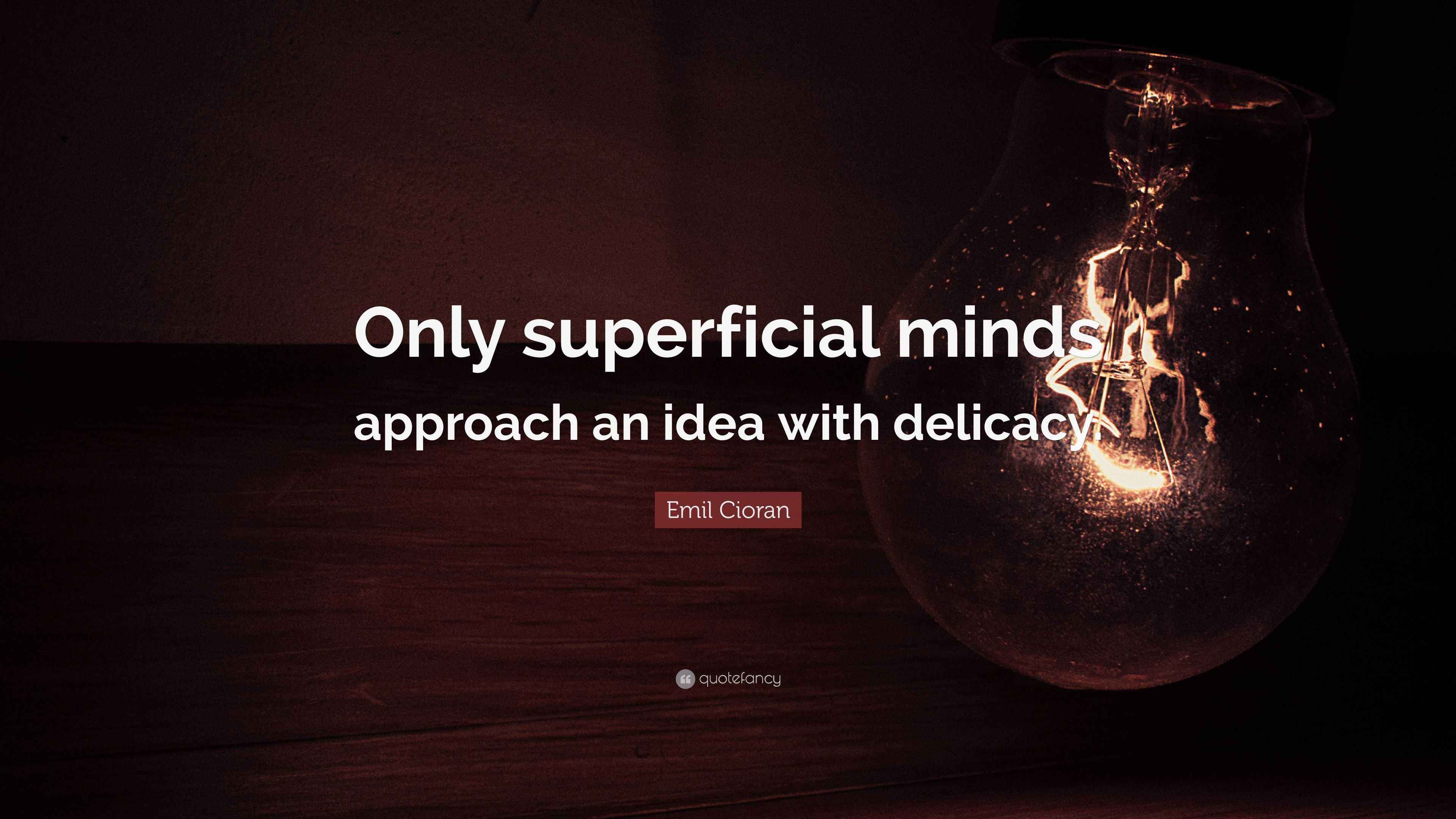 Emil Cioran Quote: “Only superficial minds approach an idea with delicacy.”