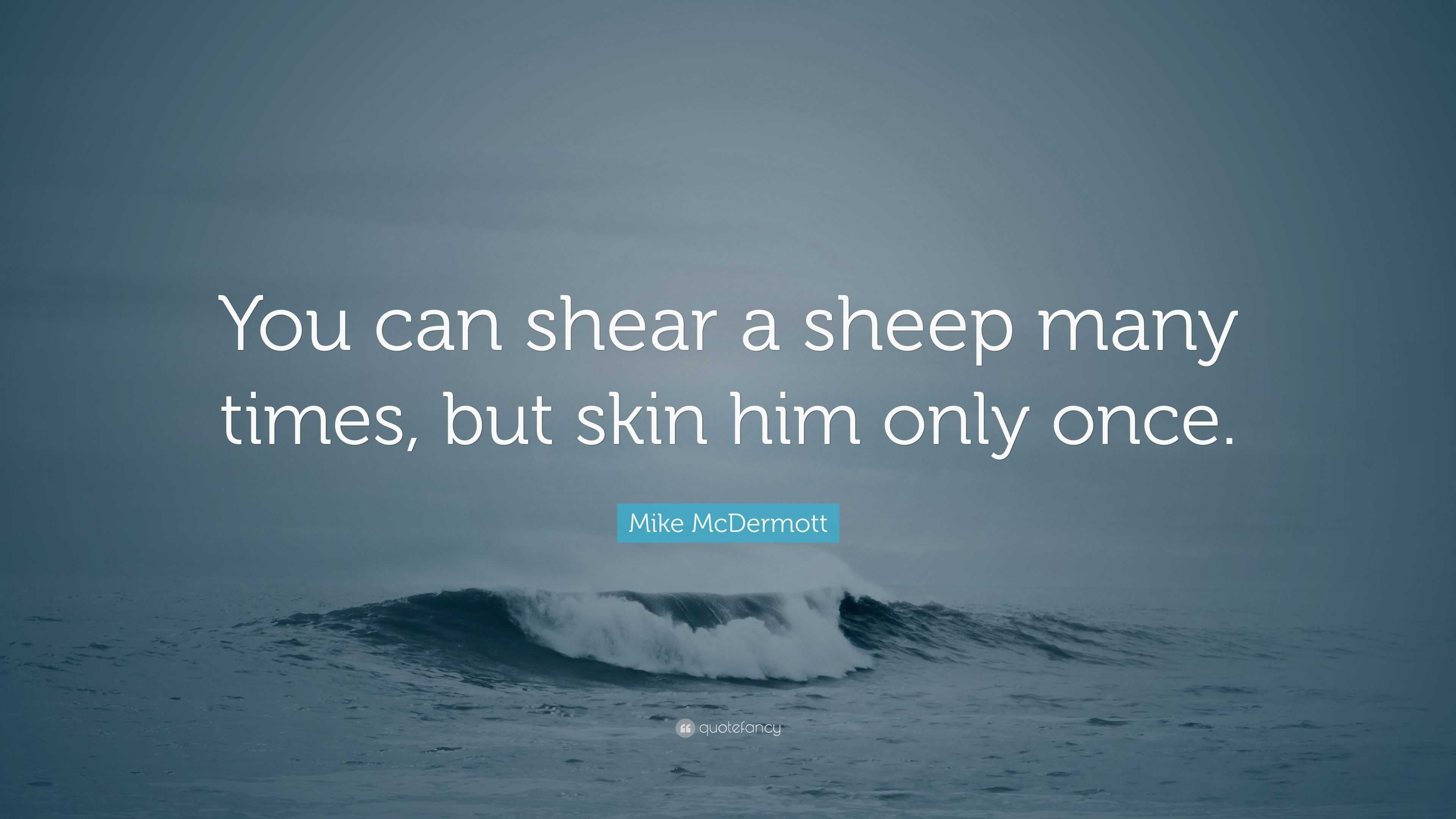 Mike McDermott Quote: “You can shear a sheep many times, but skin him ...