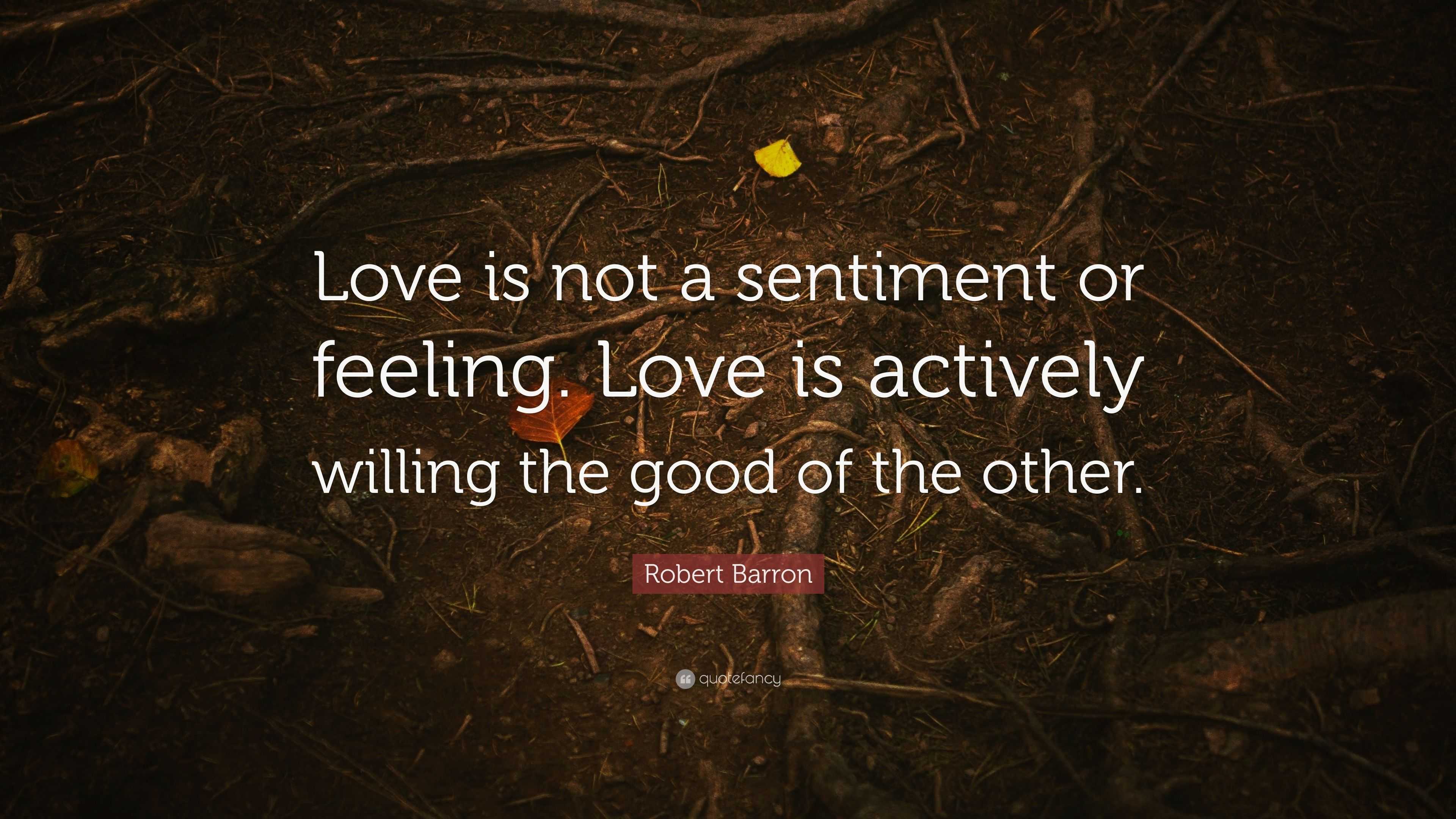 Robert Barron Quote: “Love is not a sentiment or feeling. Love is ...