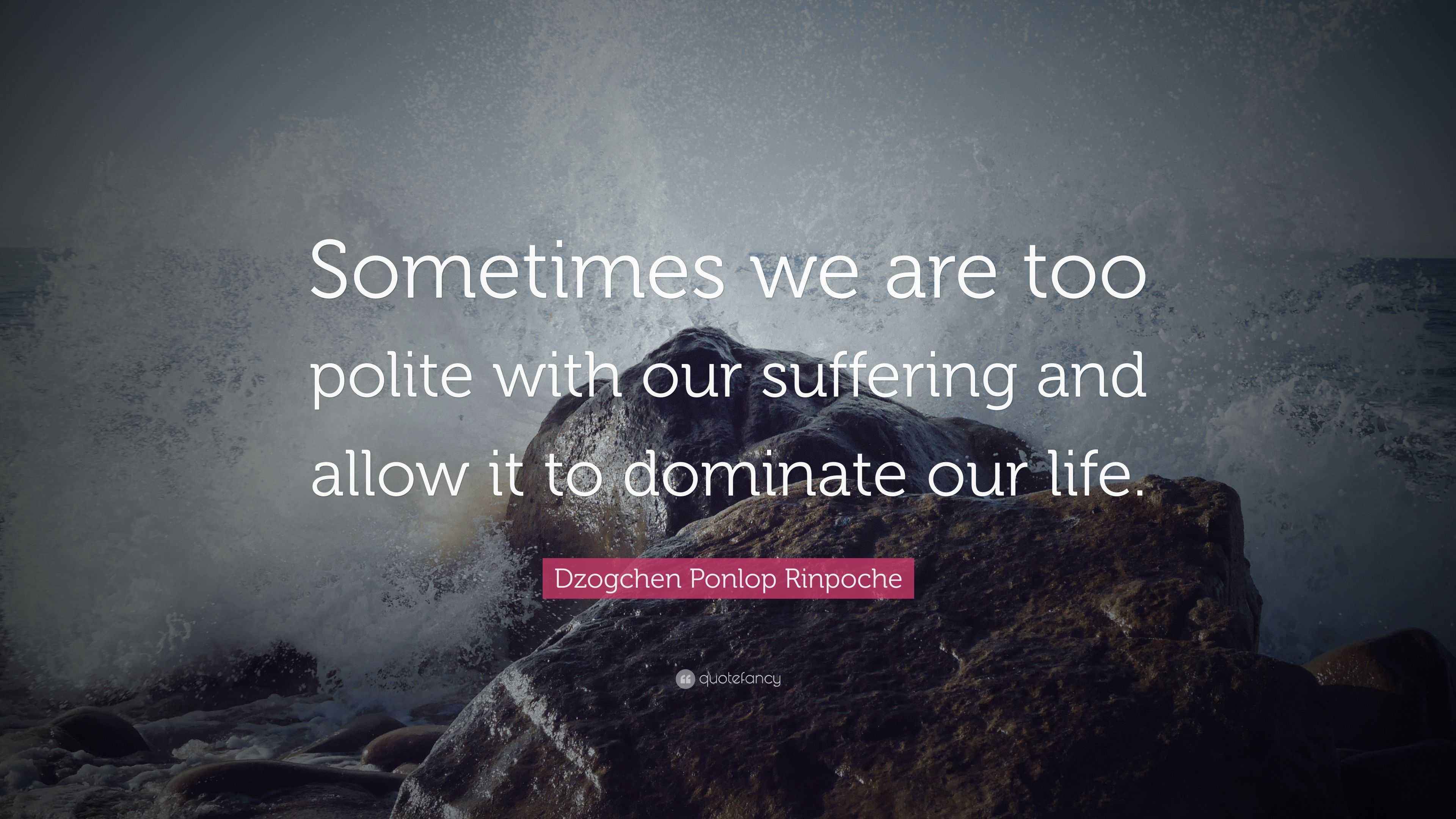 Dzogchen Ponlop Rinpoche Quote: “Sometimes we are too polite with our ...