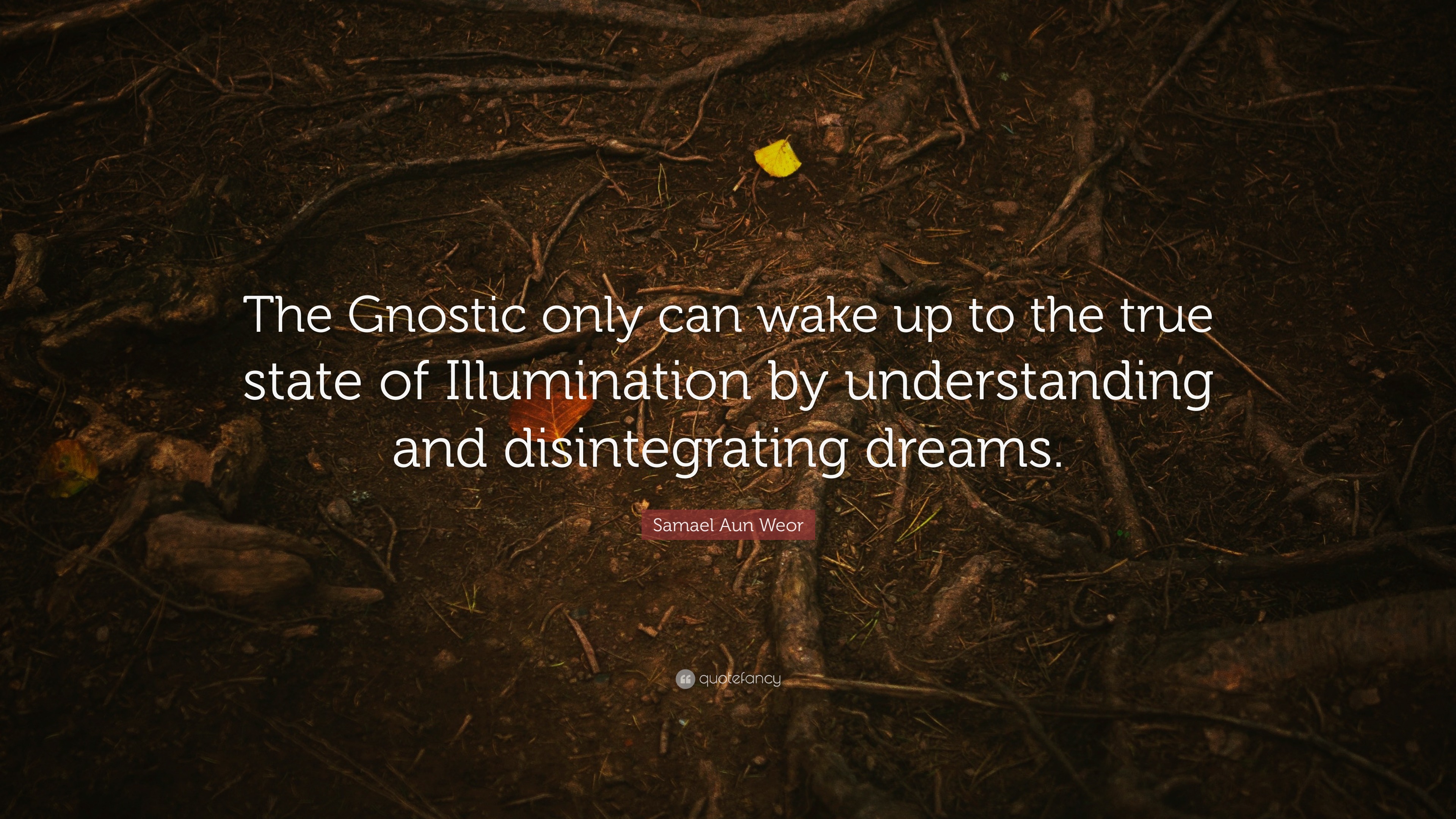 Samael Aun Weor Quote: “The Gnostic only can wake up to the true state ...