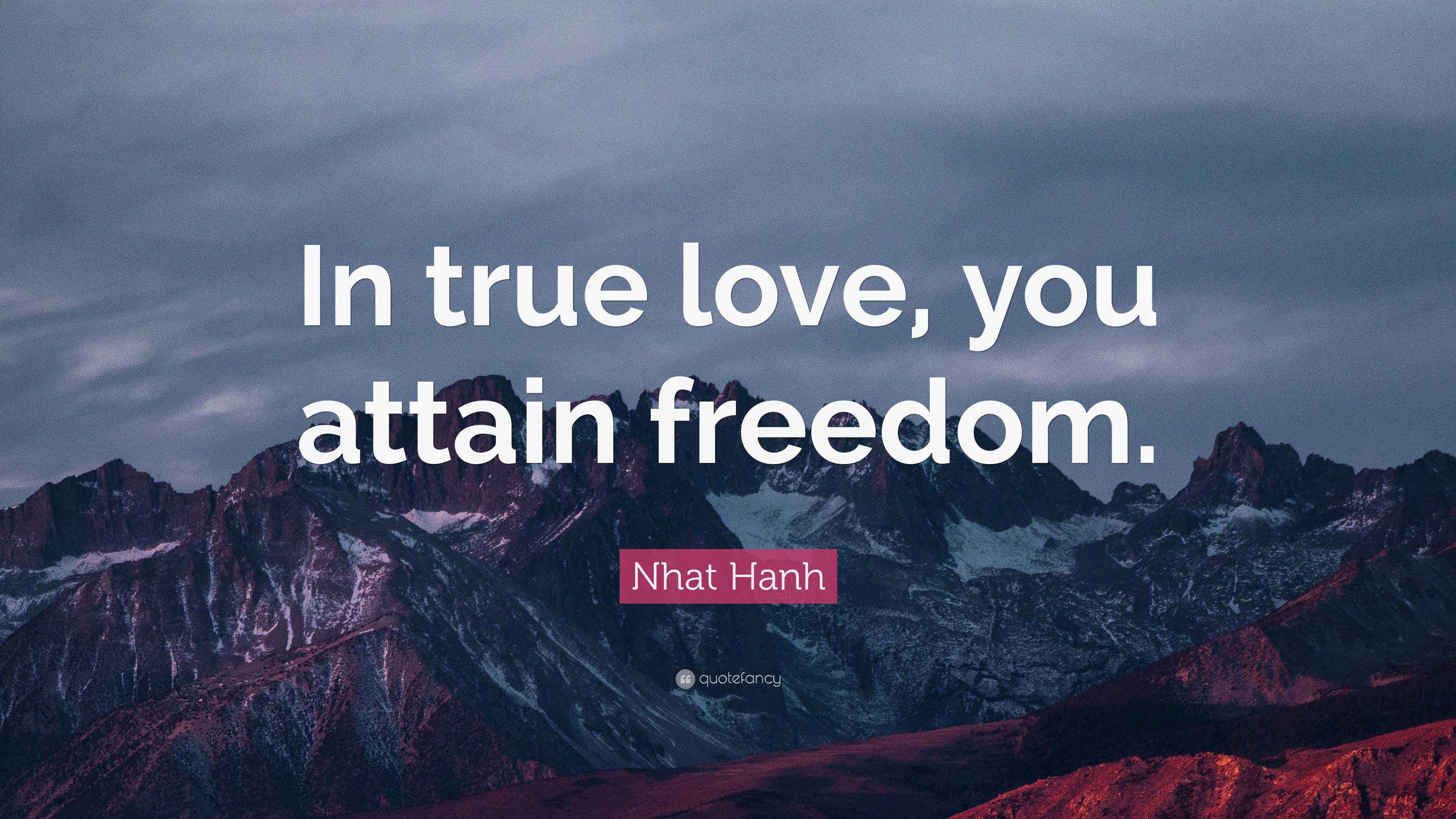 Nhat Hanh Quote: “In true love, you attain freedom.”