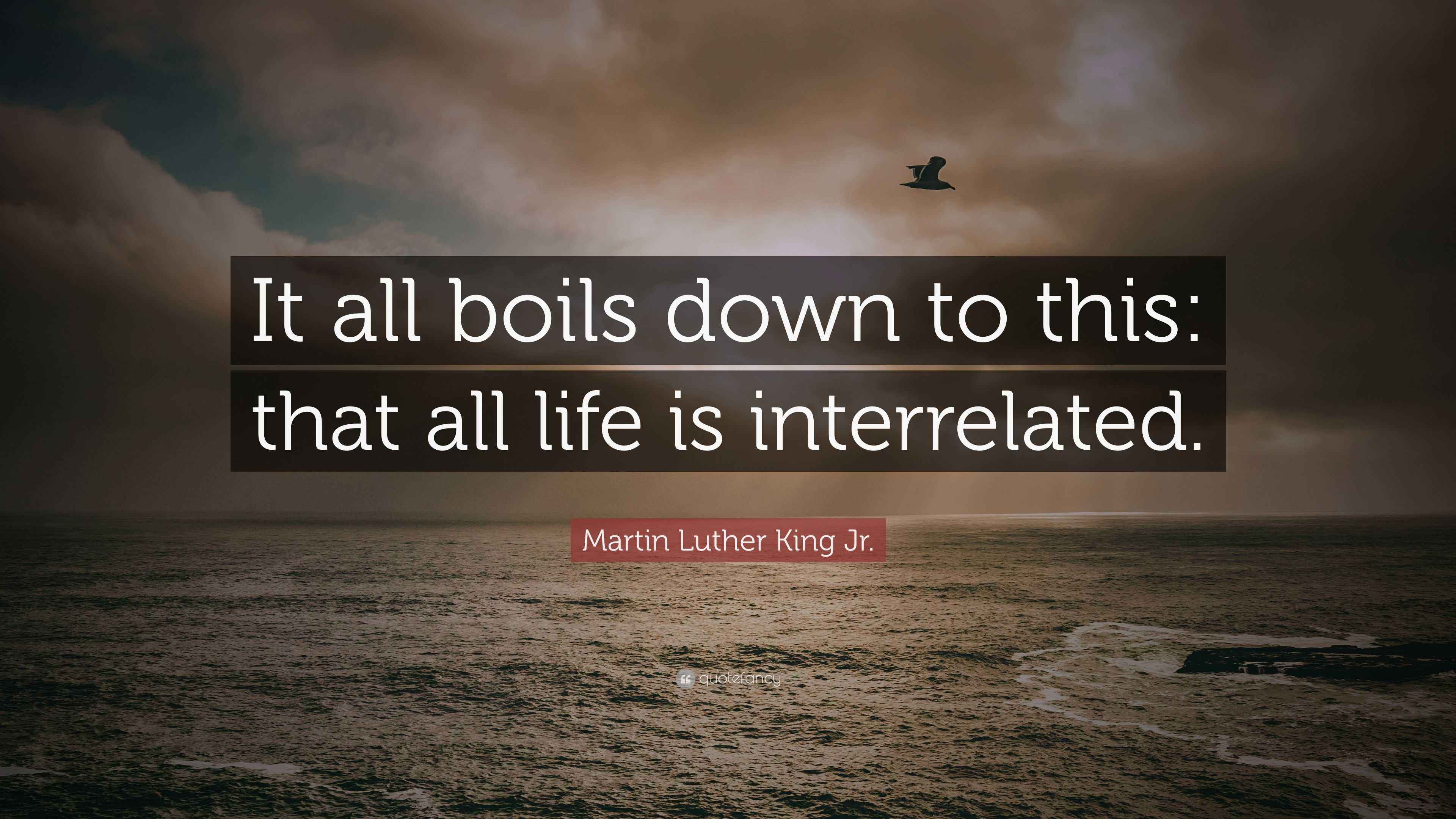 Martin Luther King Jr. Quote: “It all boils down to this: that all life ...