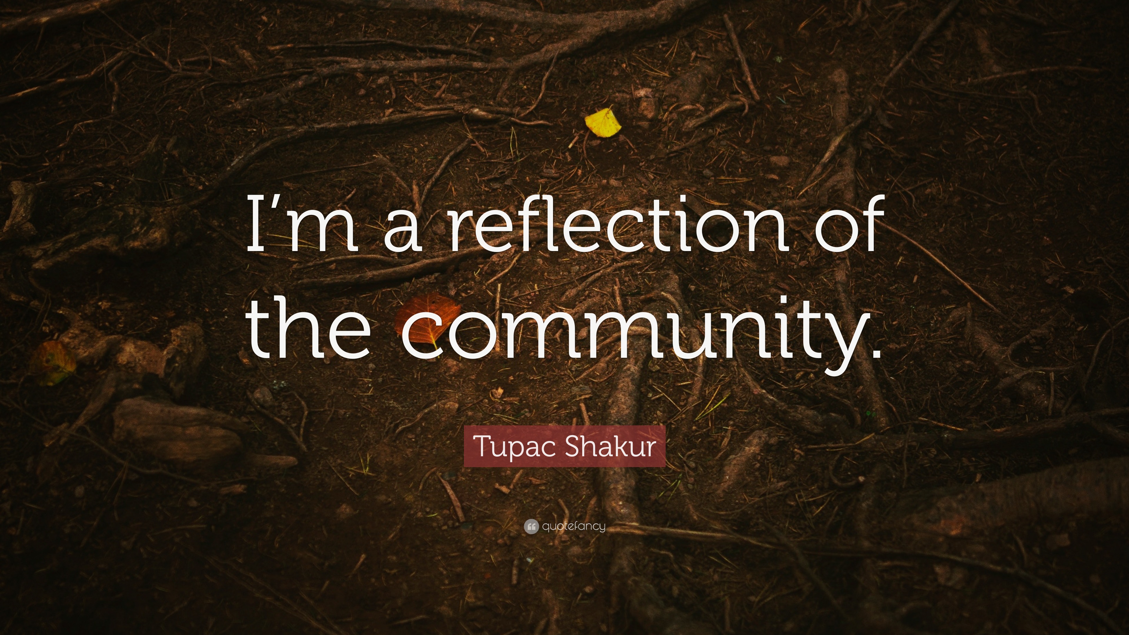 Tupac Shakur Quote: “I’m a reflection of the community.”