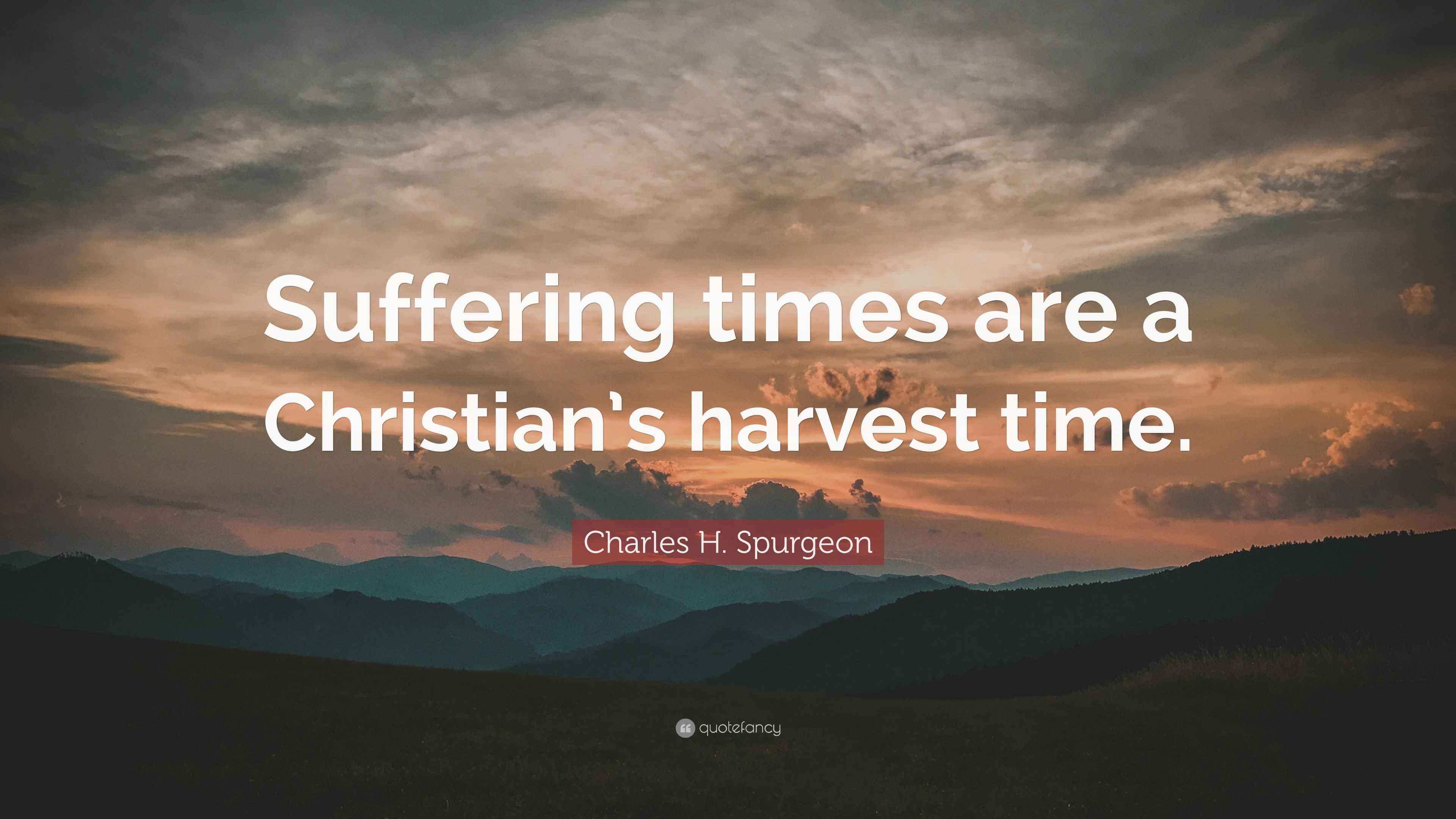 Charles H. Spurgeon Quote: “Suffering times are a Christian’s harvest ...