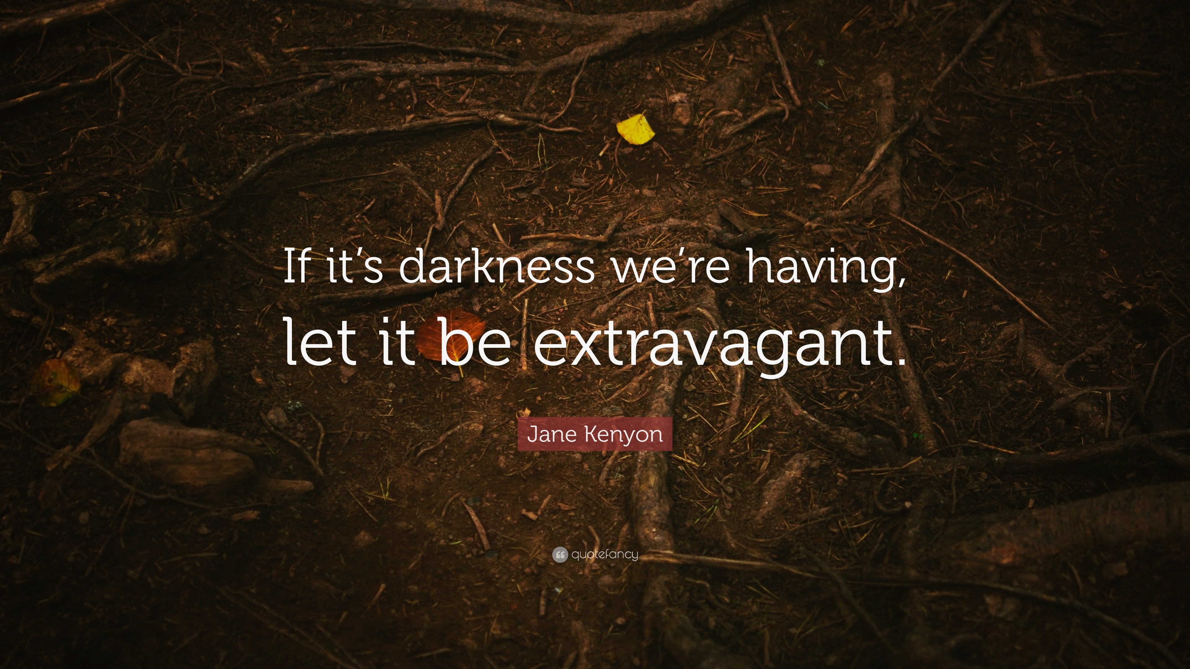 Jane Kenyon Quote: “If it’s darkness we’re having, let it be extravagant.”