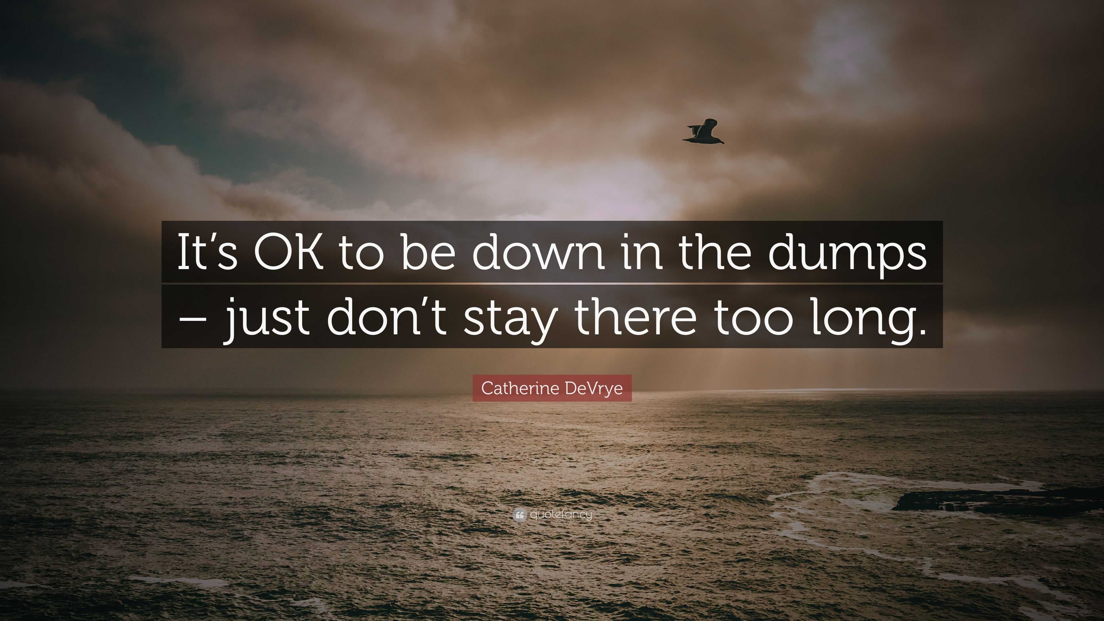 Catherine DeVrye Quote: “It’s OK to be down in the dumps – just don’t ...