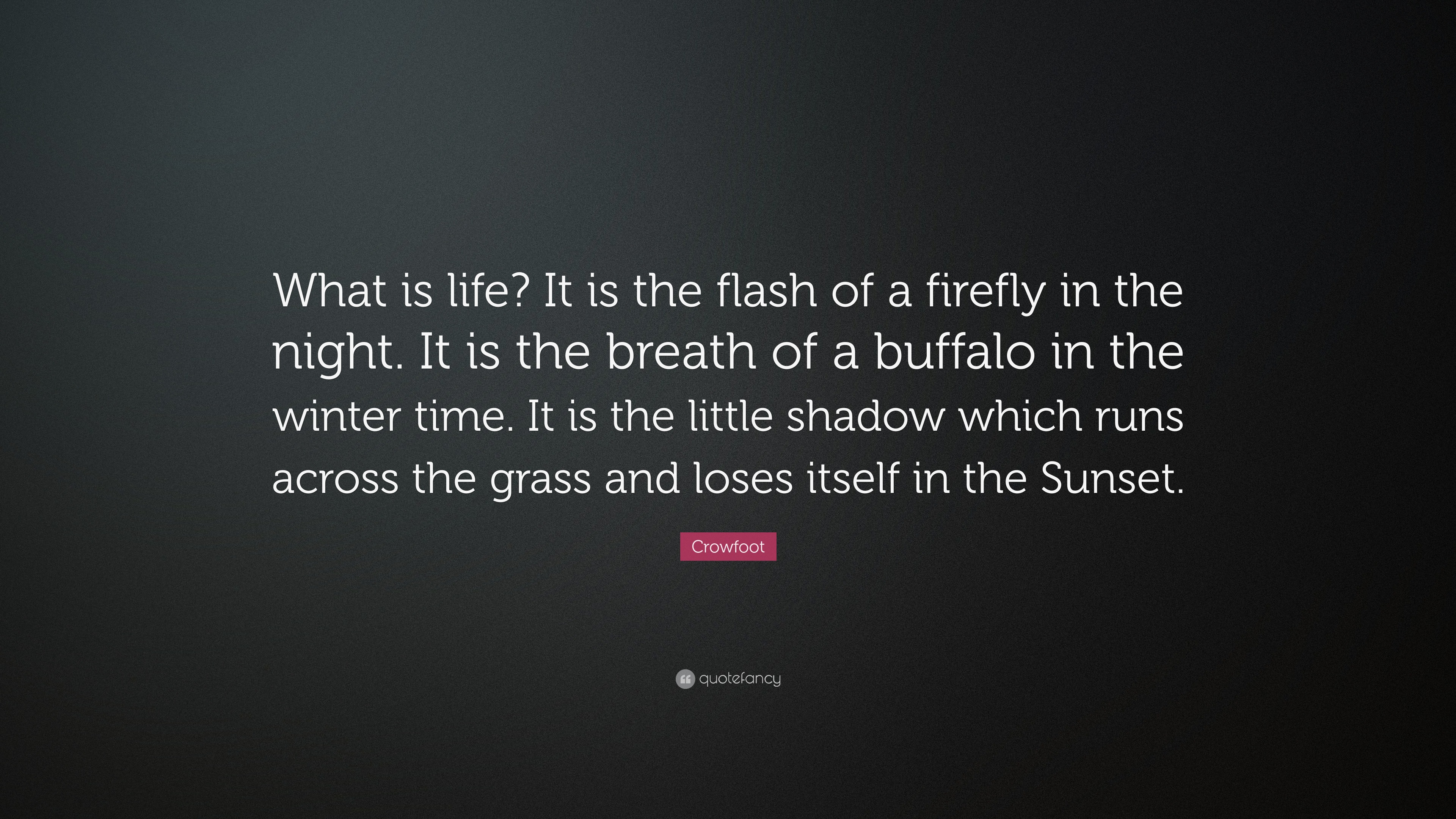 Crowfoot Quote: “What is life? It is the flash of a firefly in the ...