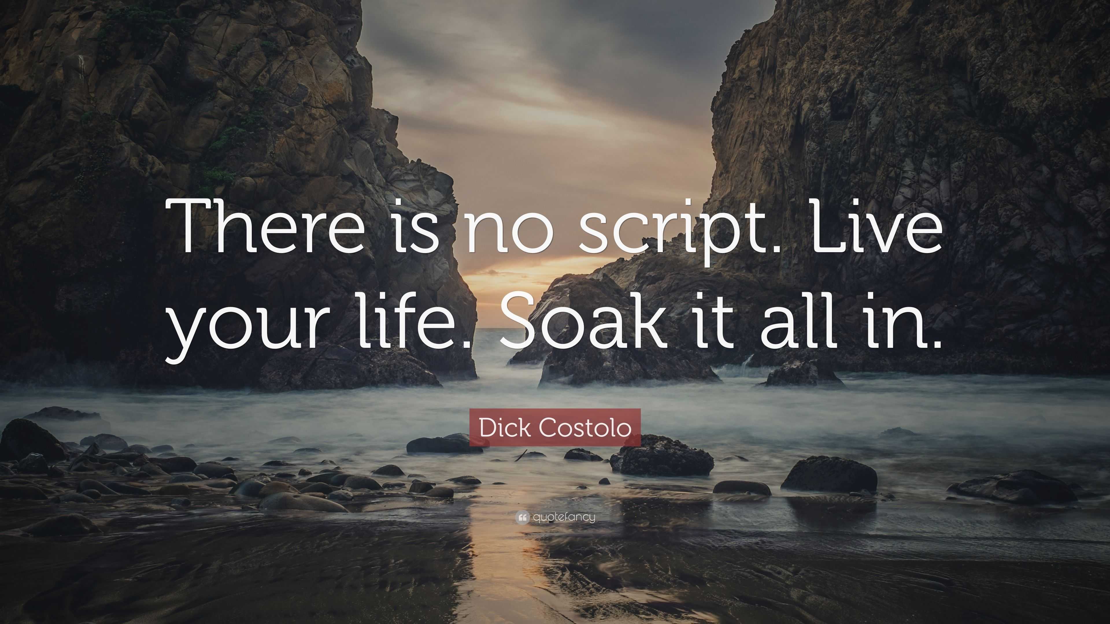 Dick Costolo Quote: “There is no script. Live your life. Soak it all in.”