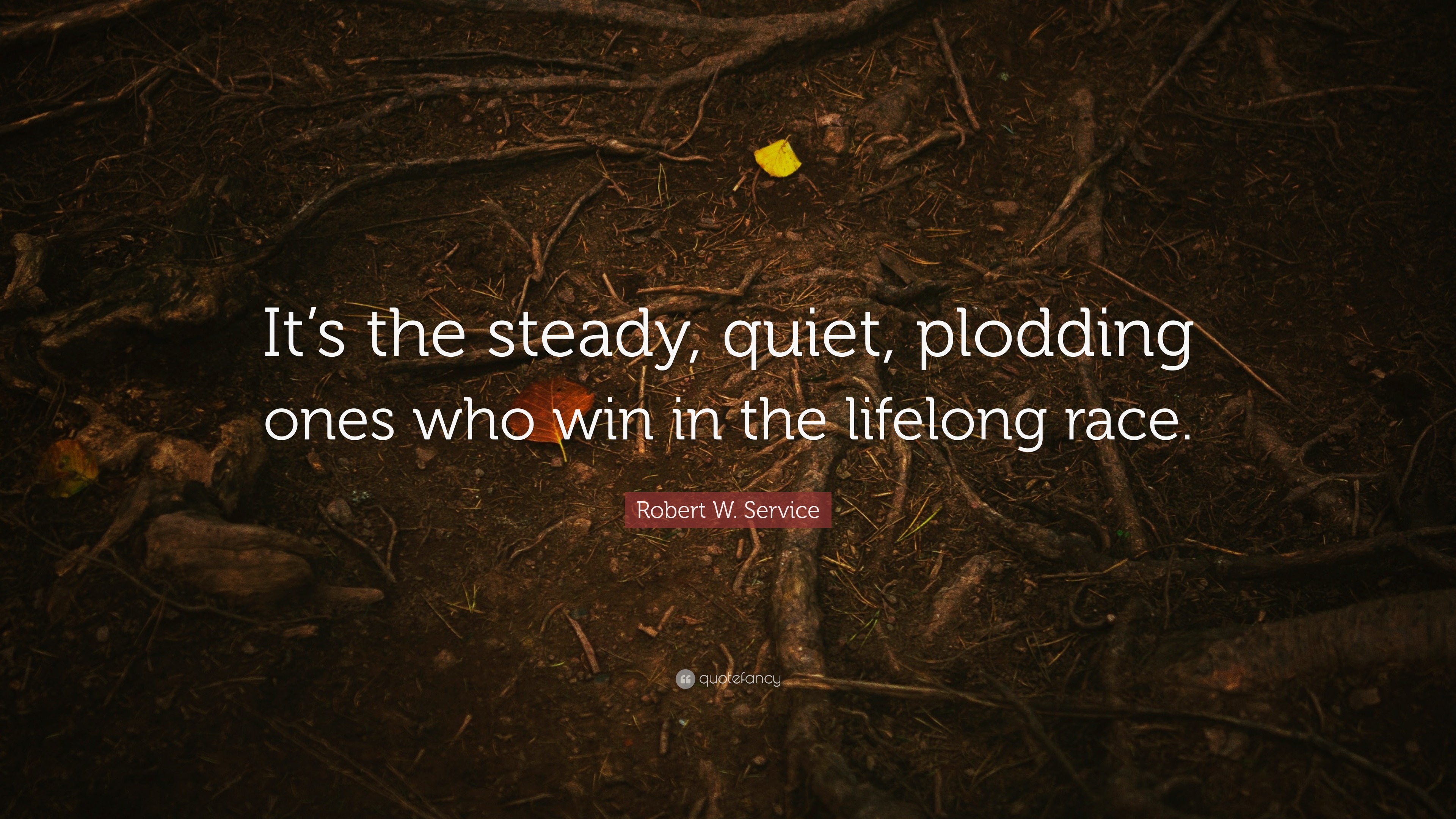 Robert W. Service Quote: “It’s the steady, quiet, plodding ones who win ...