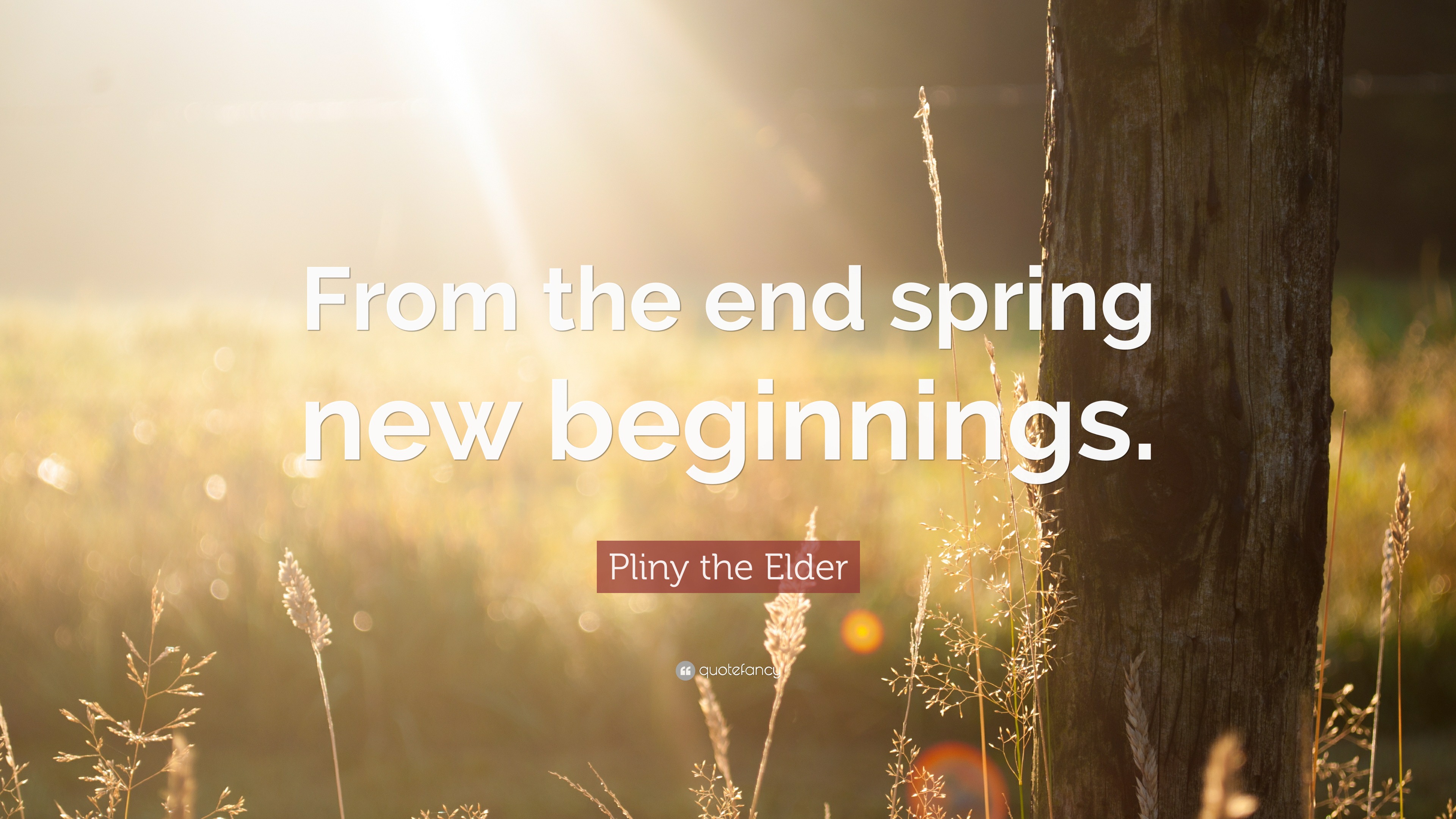 Pliny the Elder Quote: “From the end spring new beginnings.”