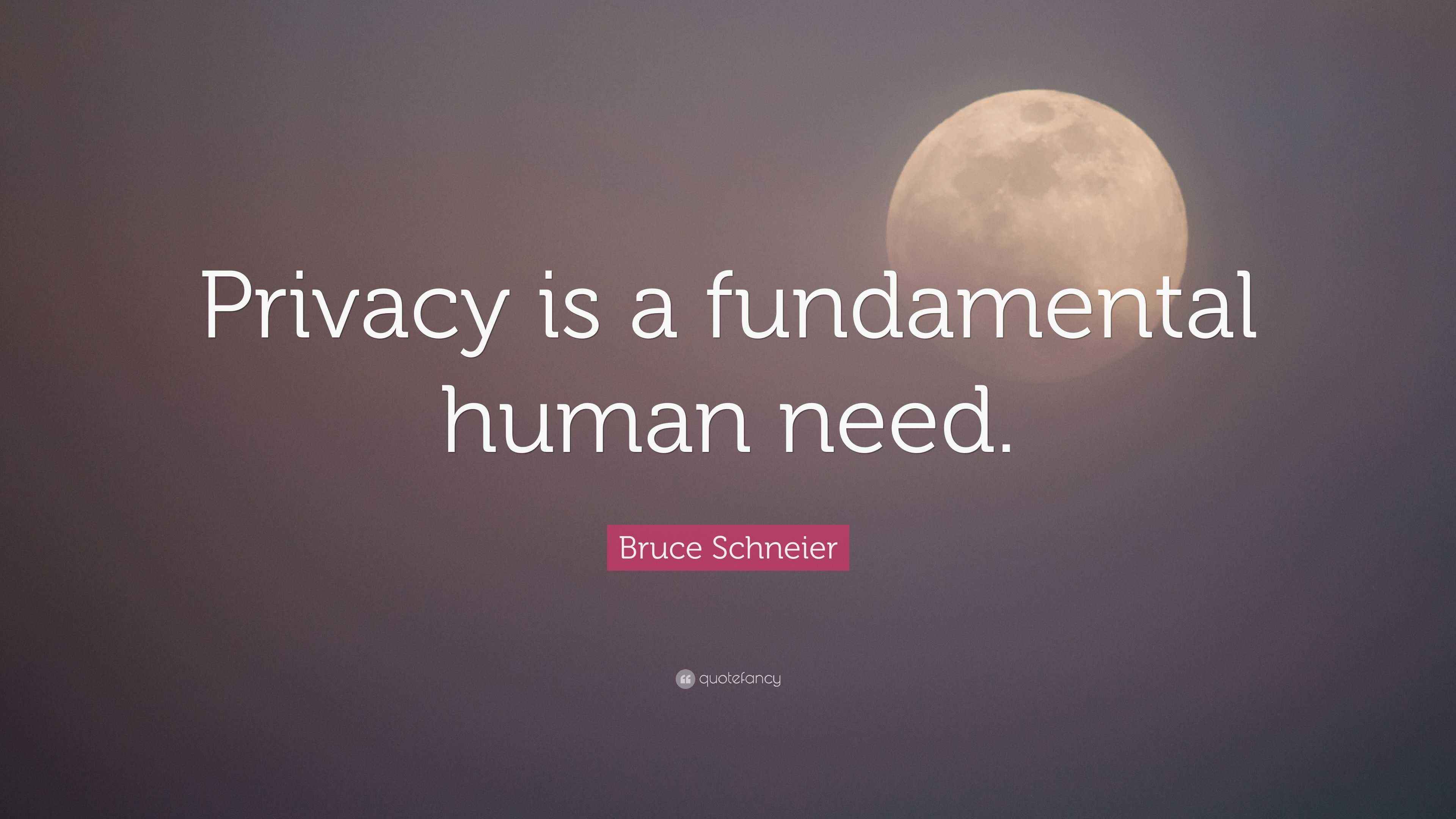 Bruce Schneier Quote: “Privacy is a fundamental human need.”