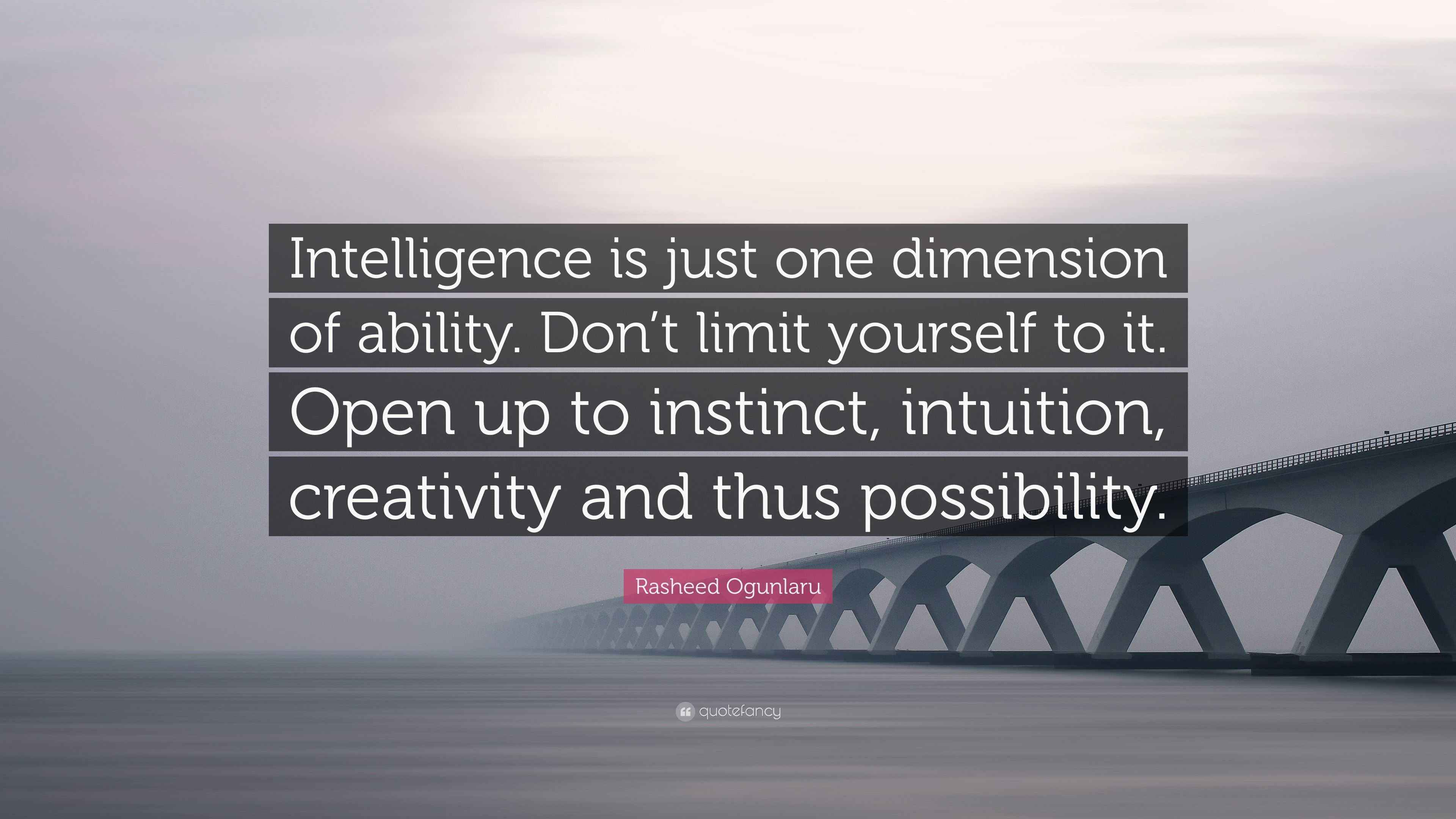 Rasheed Ogunlaru Quote: “Intelligence is just one dimension of ability ...