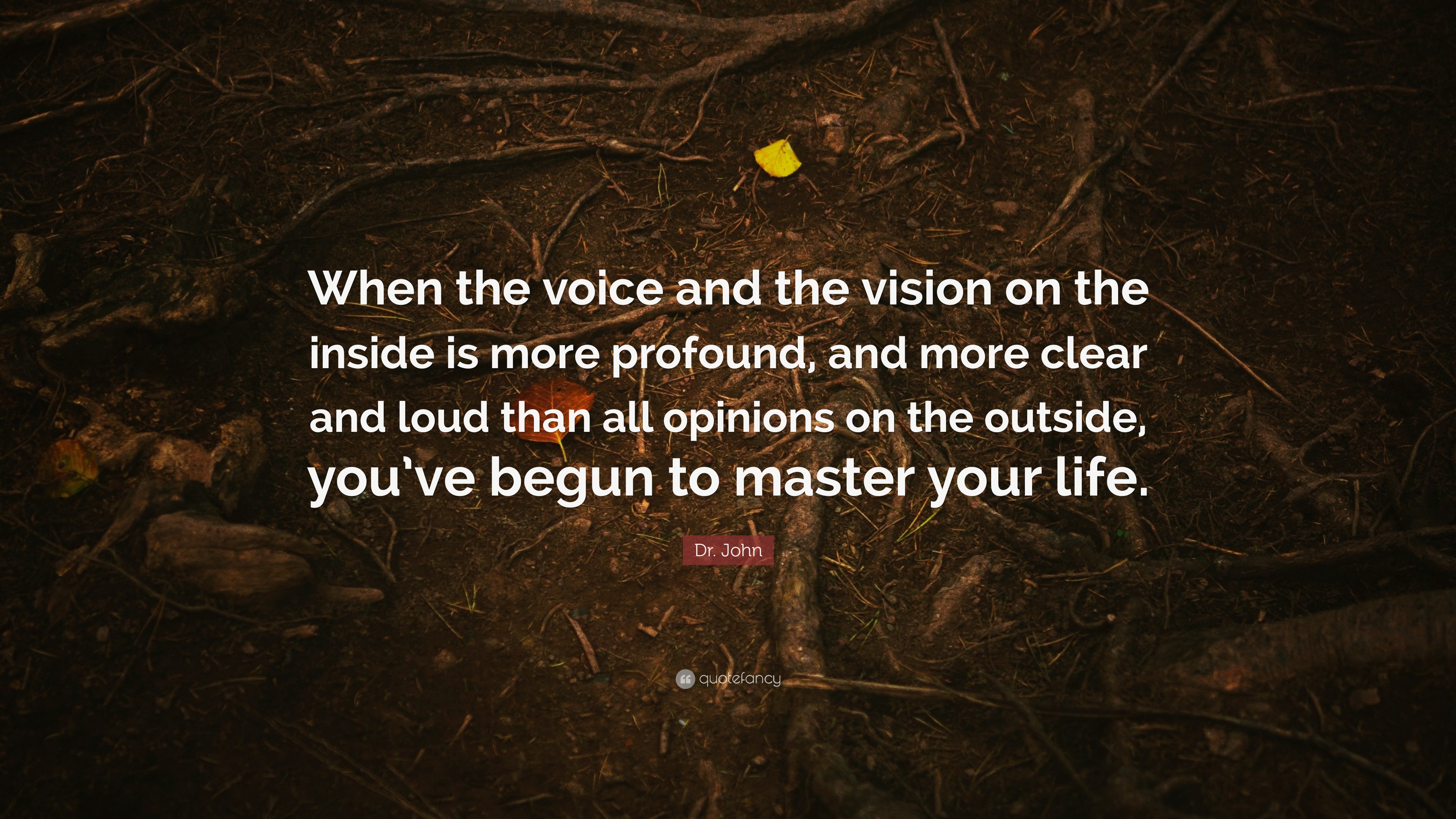 Dr. John Quote: “When the voice and the vision on the inside is more ...