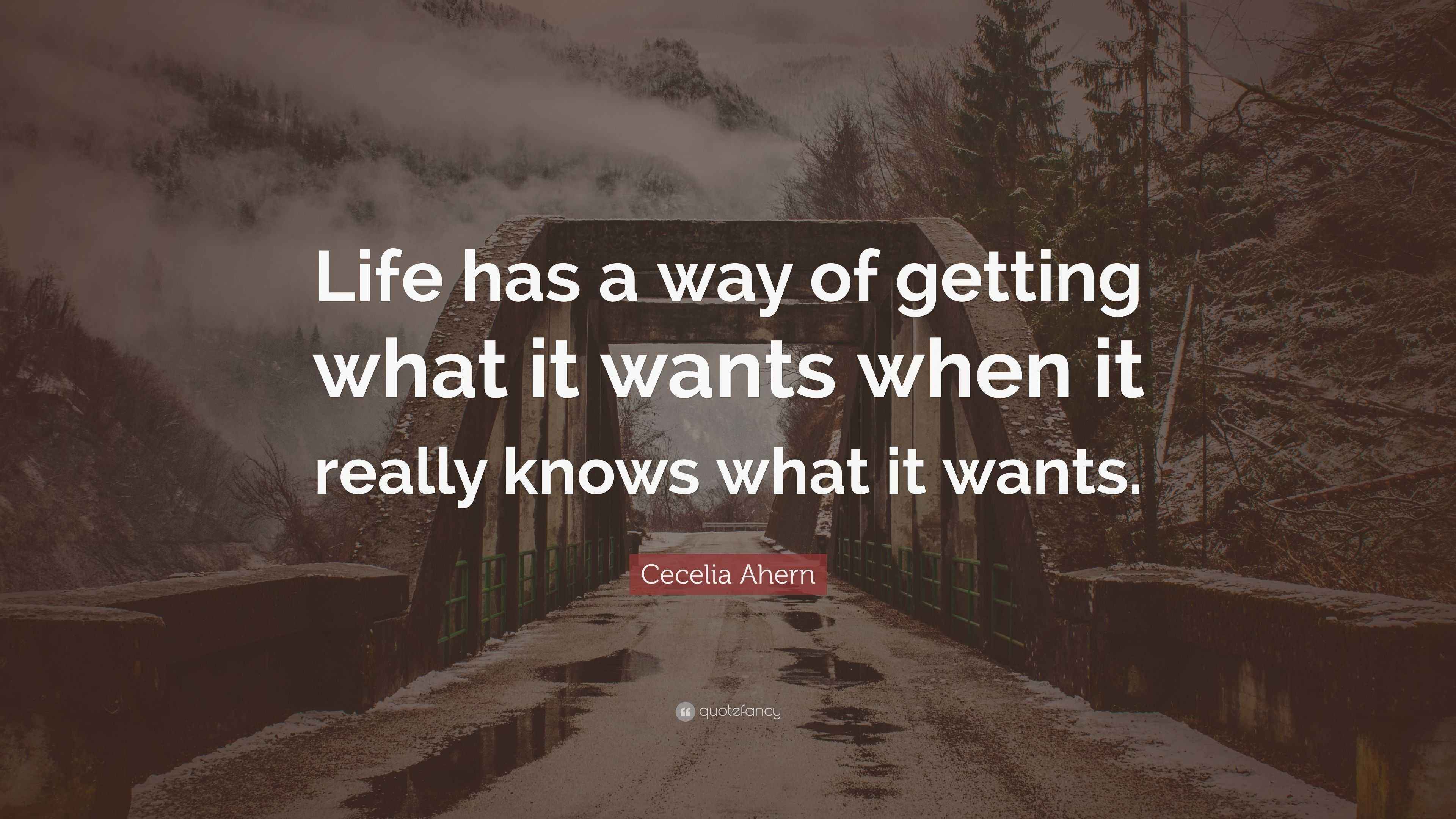 Cecelia Ahern Quote: “Life has a way of getting what it wants when it ...