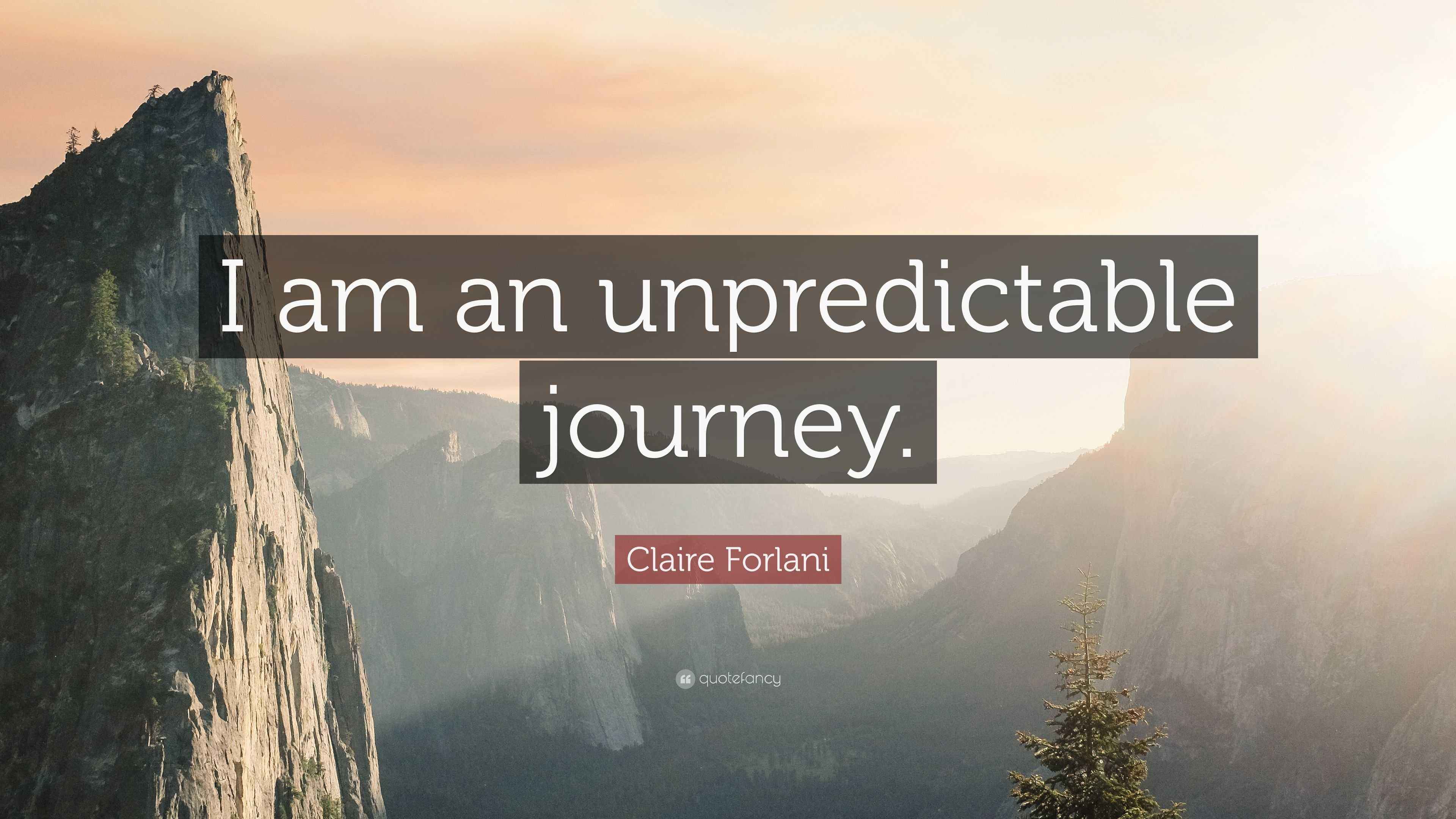 Claire Forlani Quote: “I am an unpredictable journey.”