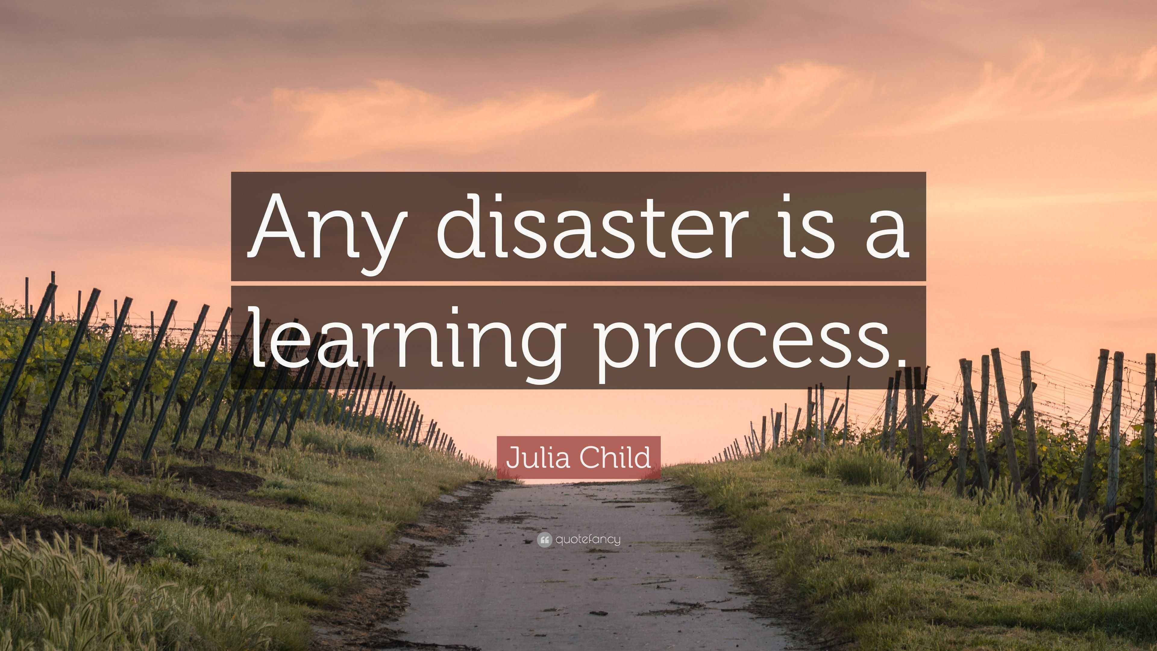 Julia Child Quote: “Any disaster is a learning process.”