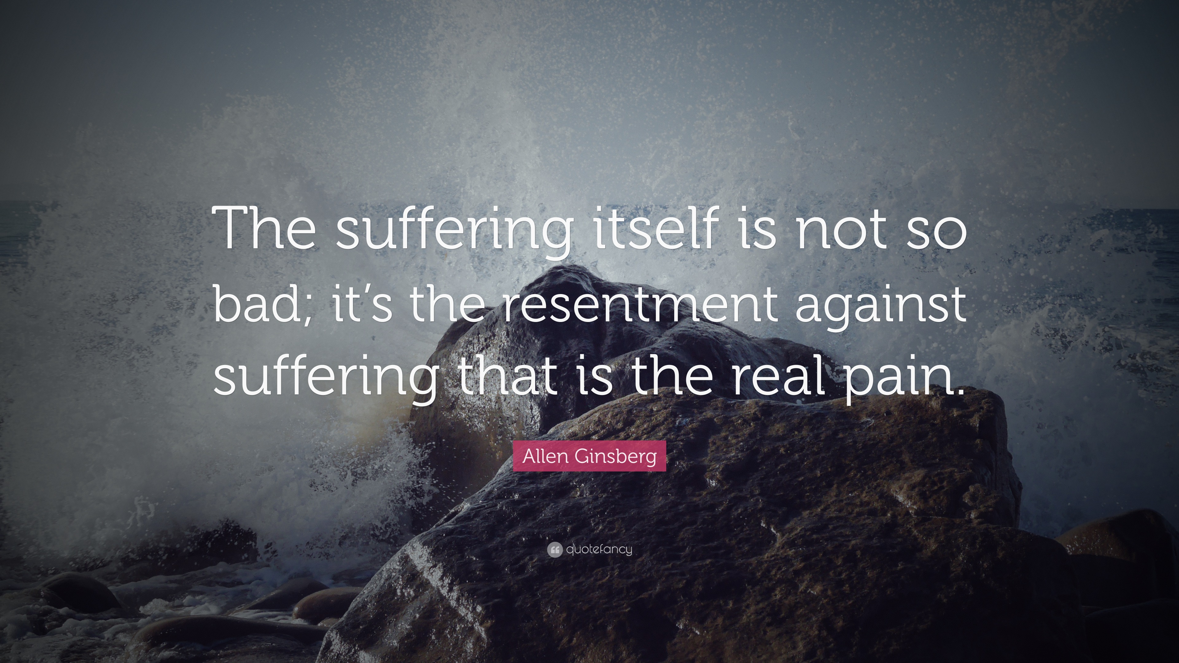 Allen Ginsberg Quote: “The suffering itself is not so bad; it’s the ...