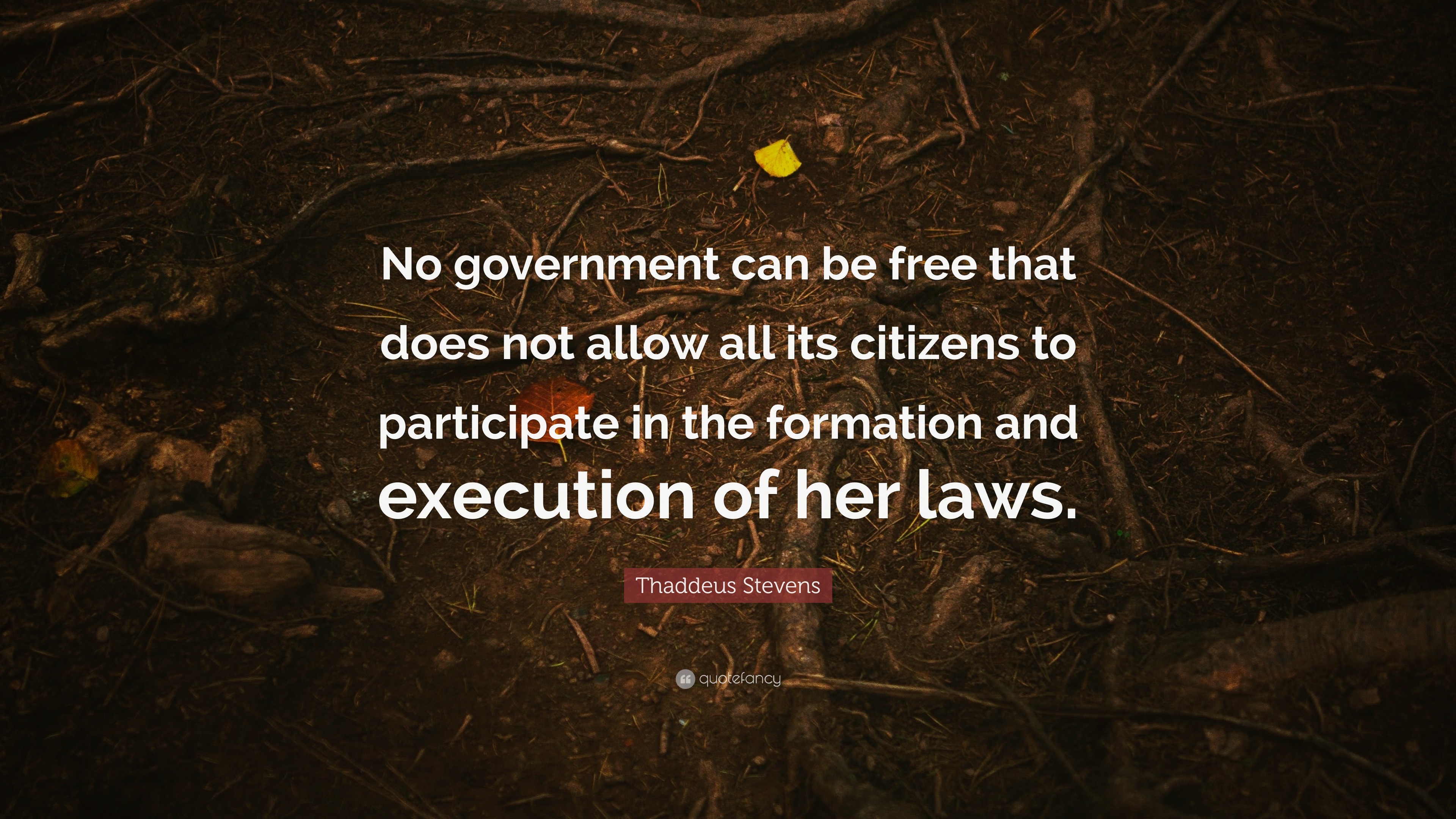 Thaddeus Stevens Quote: “No government can be free that does not allow ...