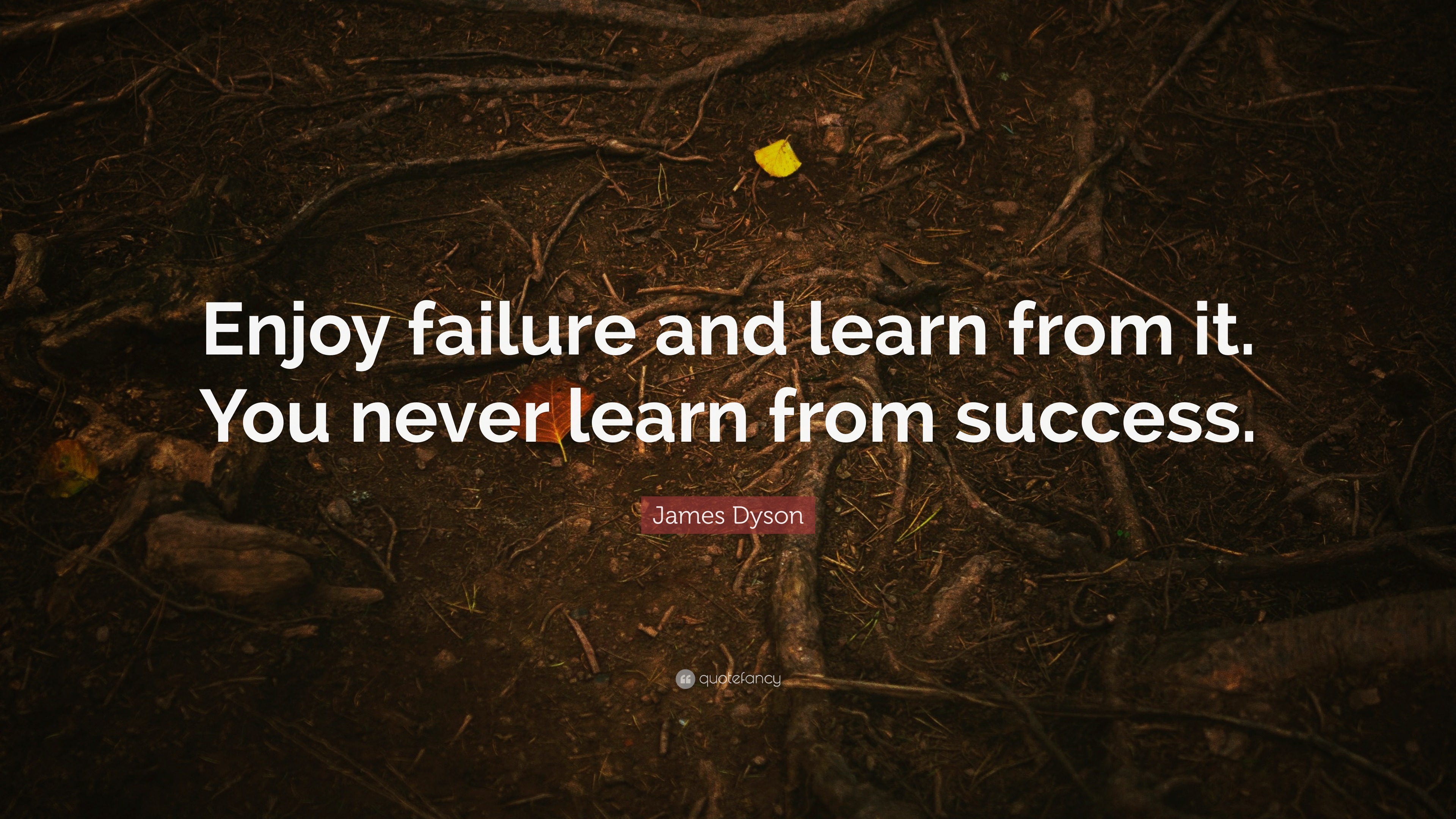 James Dyson Quote: “Enjoy failure and learn from it. You never learn ...