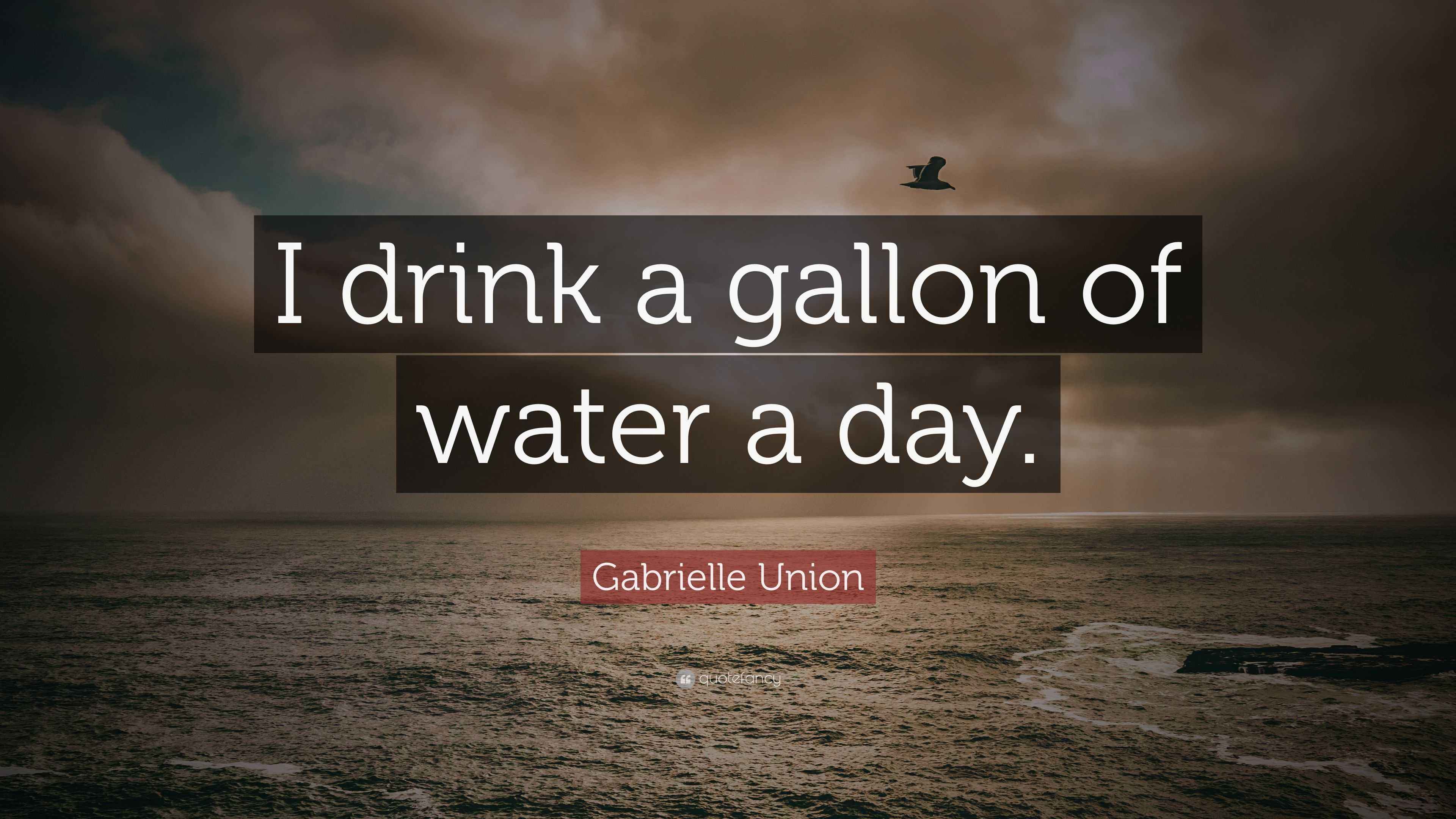 Gabrielle Union Quote: “I drink a gallon of water a day.”