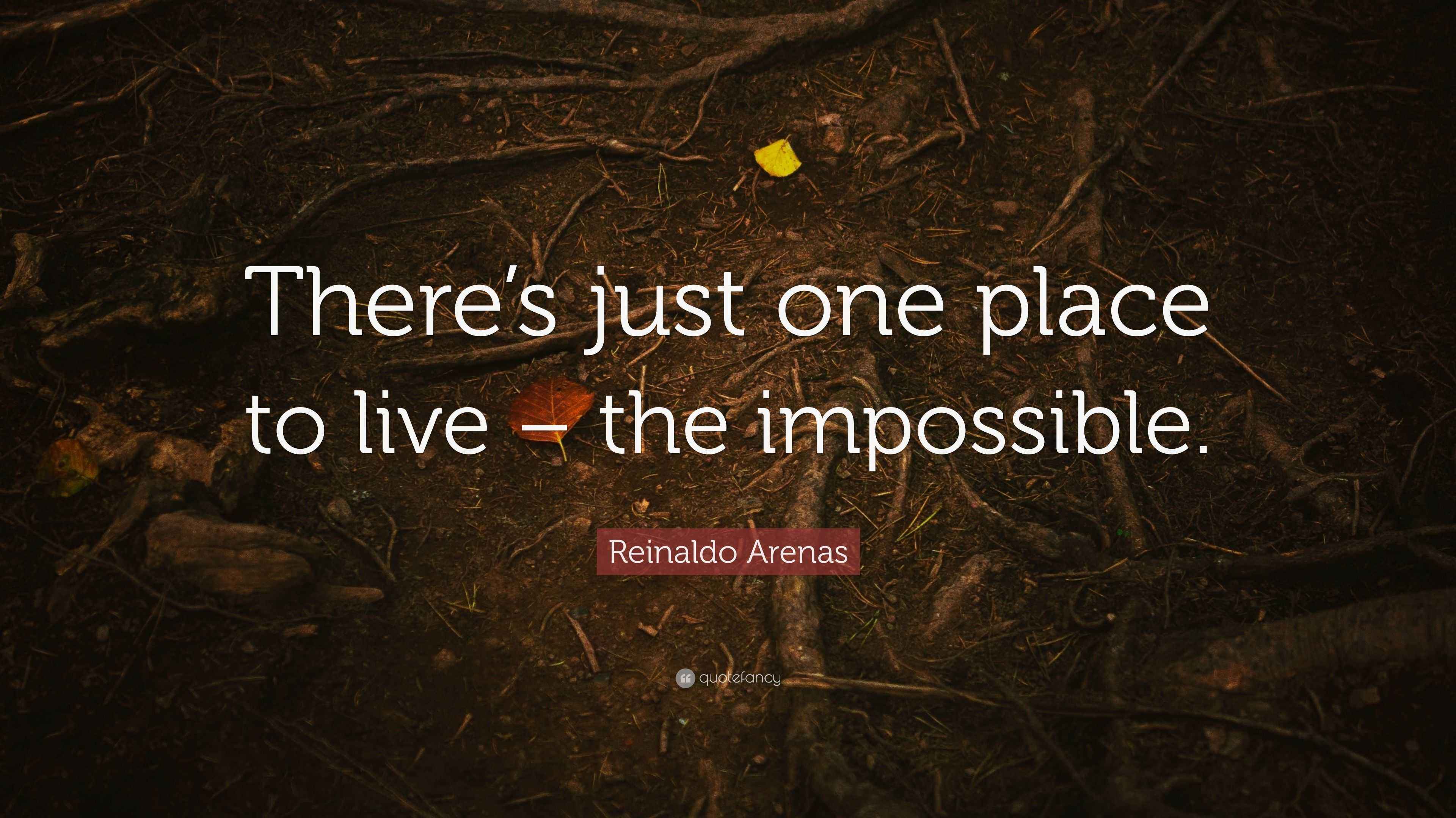 Reinaldo Arenas Quote: “There’s just one place to live – the impossible.”