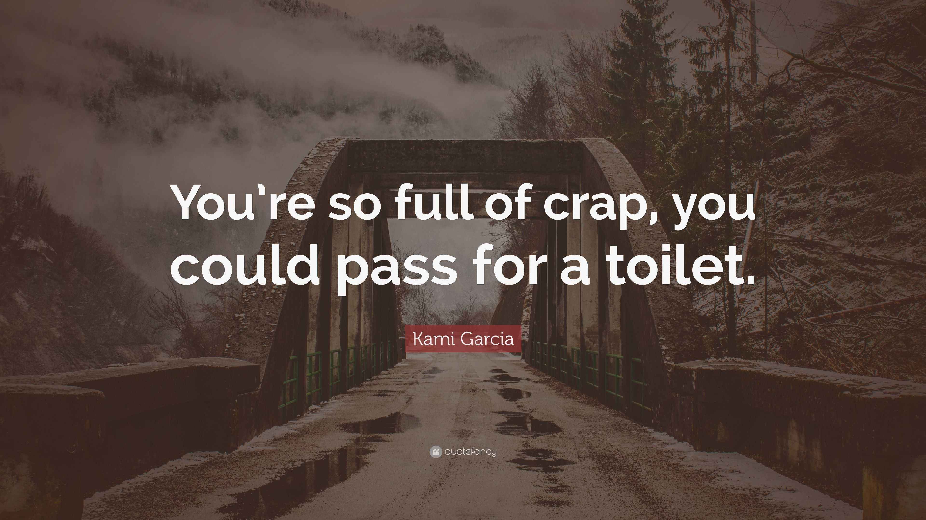 Kami Garcia Quote: “You’re so full of crap, you could pass for a toilet.”
