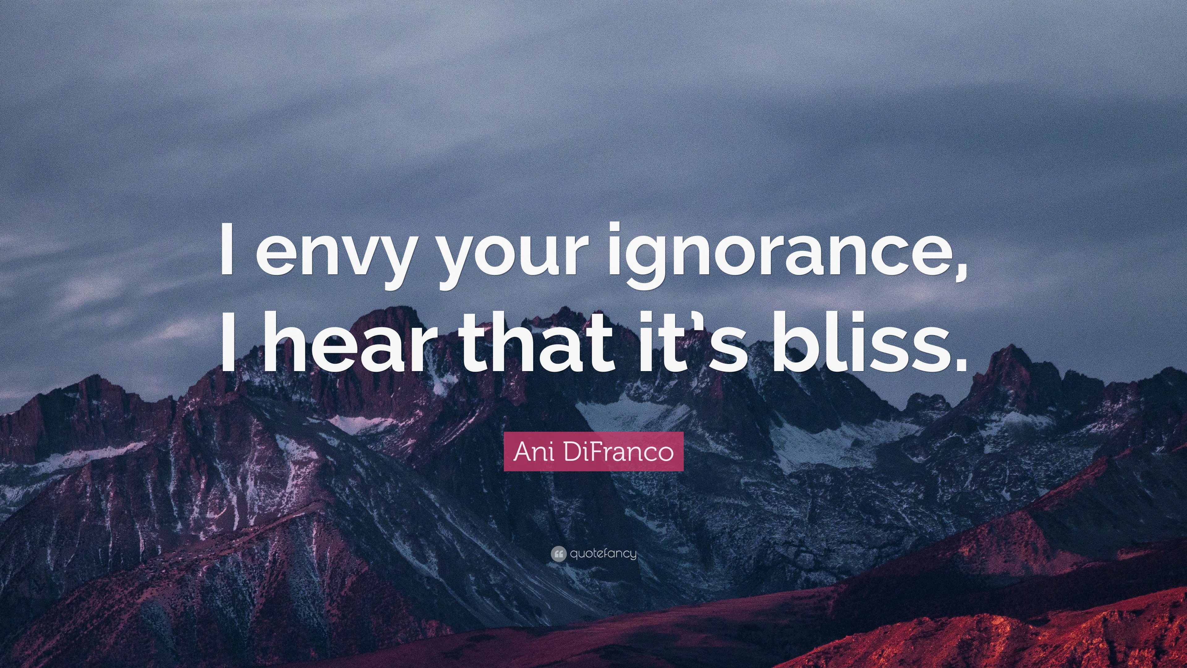 Ani DiFranco Quote: “I envy your ignorance, I hear that it’s bliss.”