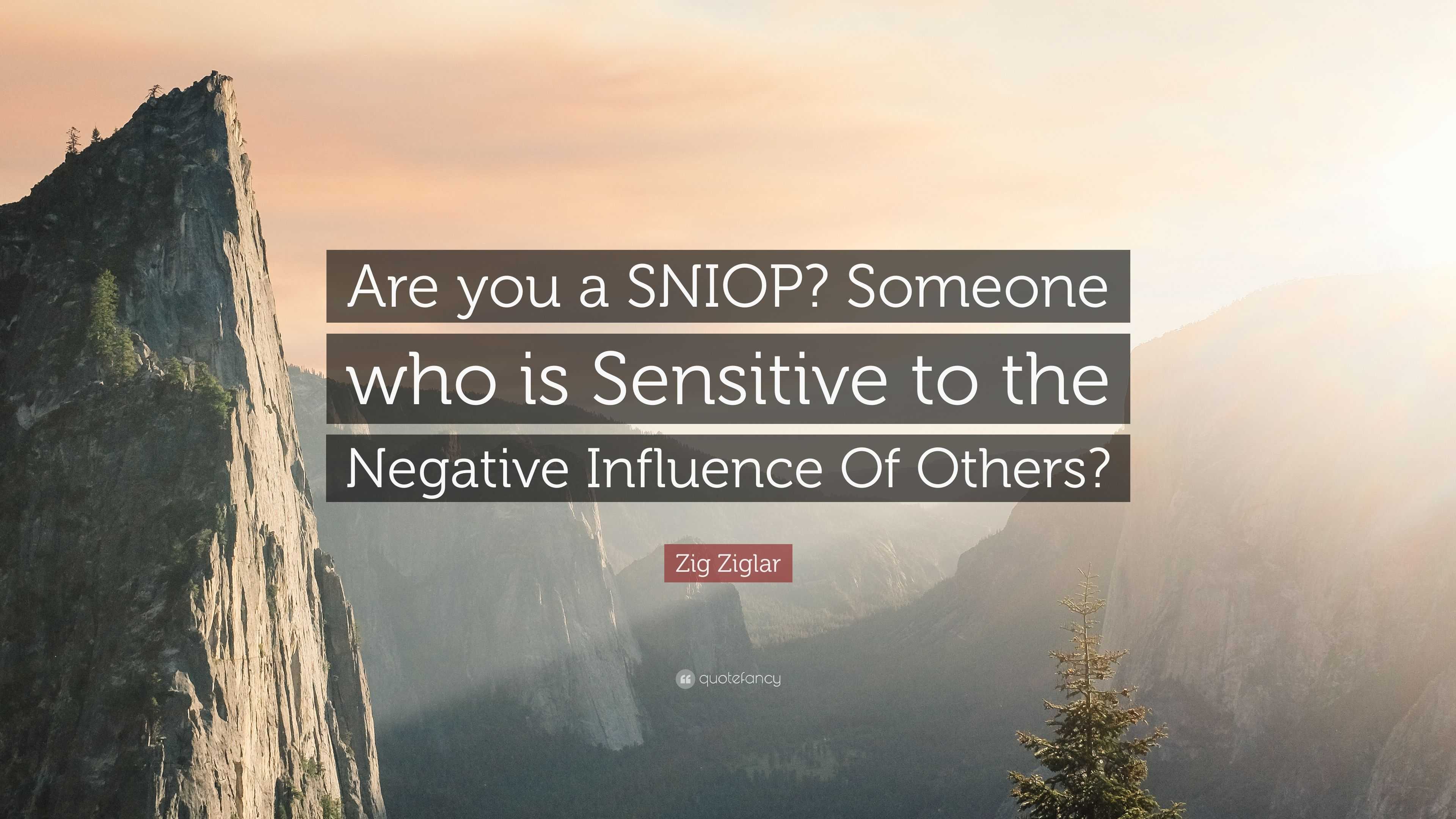 Zig Ziglar Quote: “Are you a SNIOP? Someone who is Sensitive to the ...