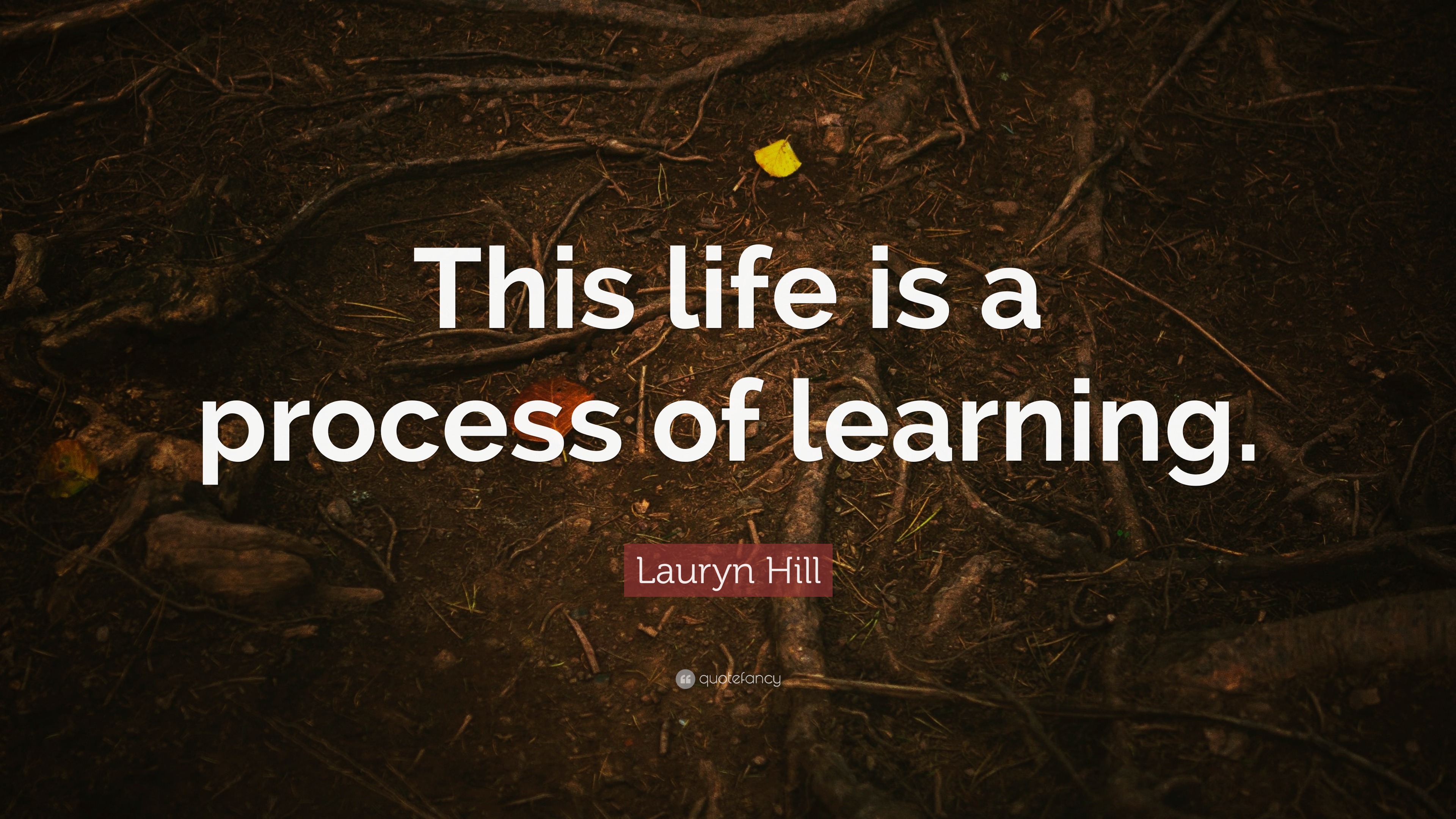 Lauryn Hill Quote: “This life is a process of learning.”