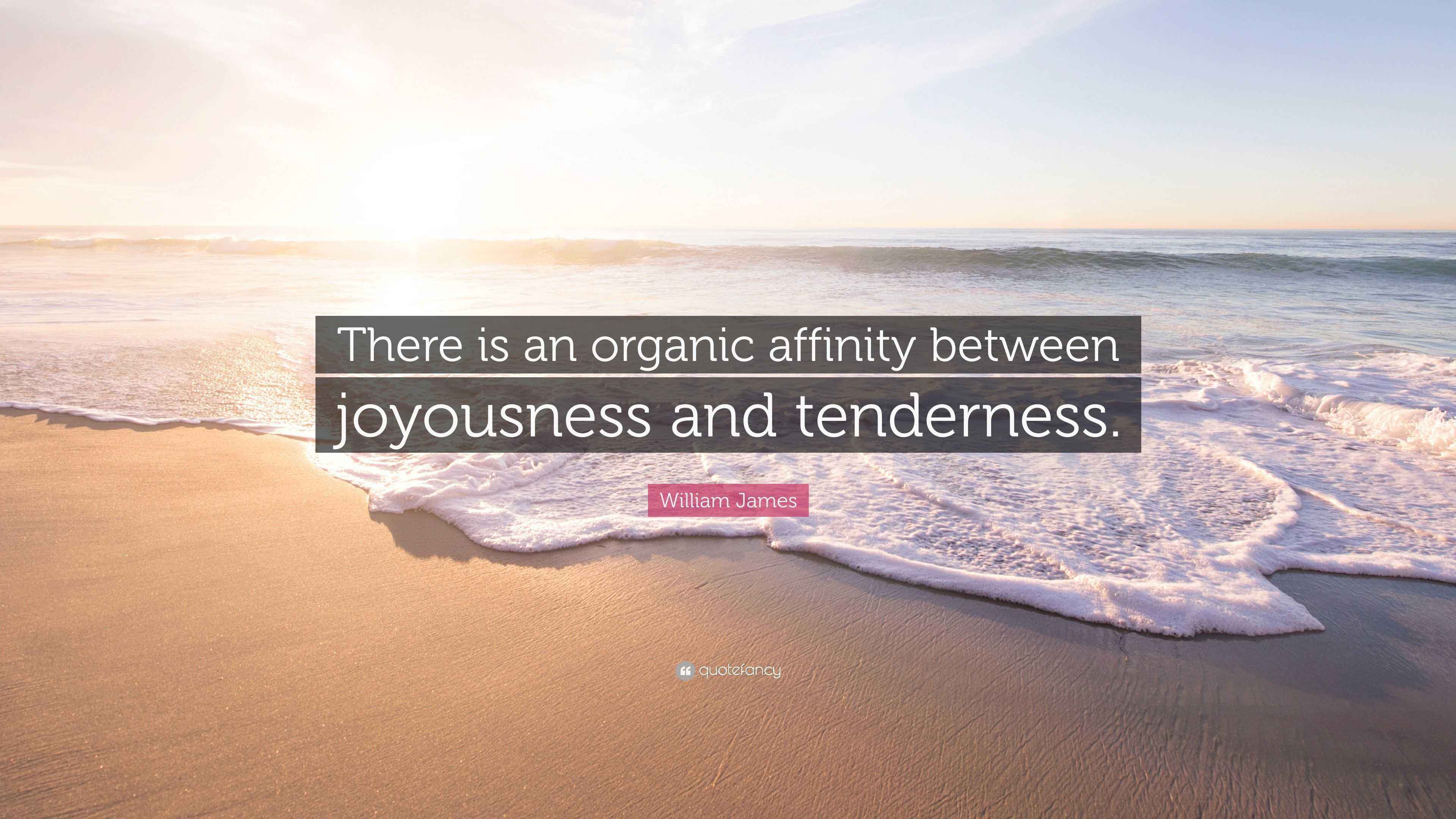 William James Quote: “There is an organic affinity between joyousness ...