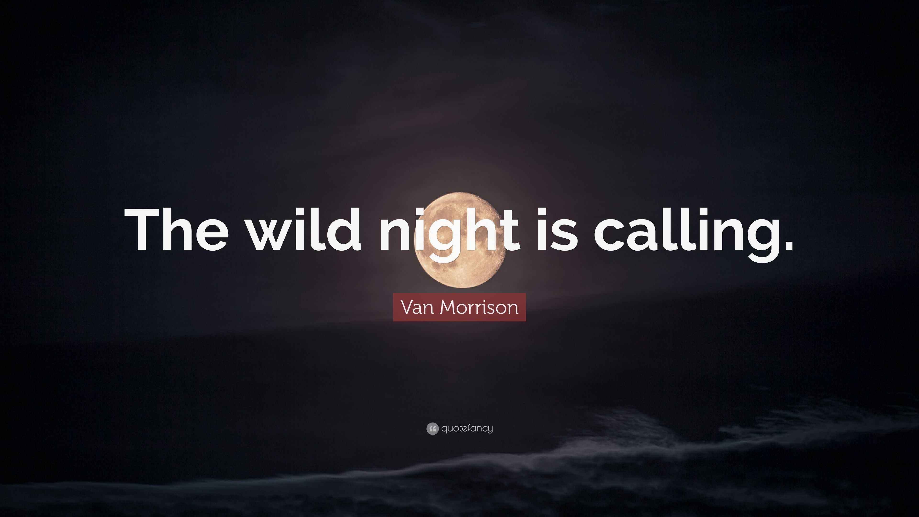 Van Morrison Quote: “The wild night is calling.”